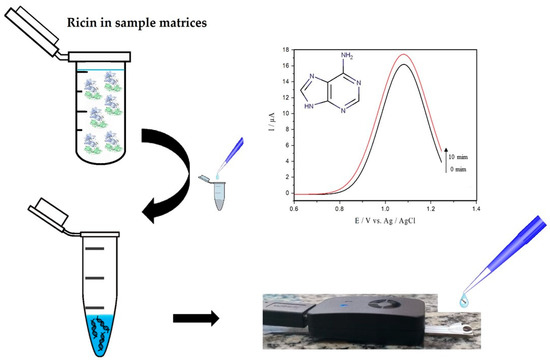 A Simple, Fast and Portable Method for Electrochemical Detection of ...