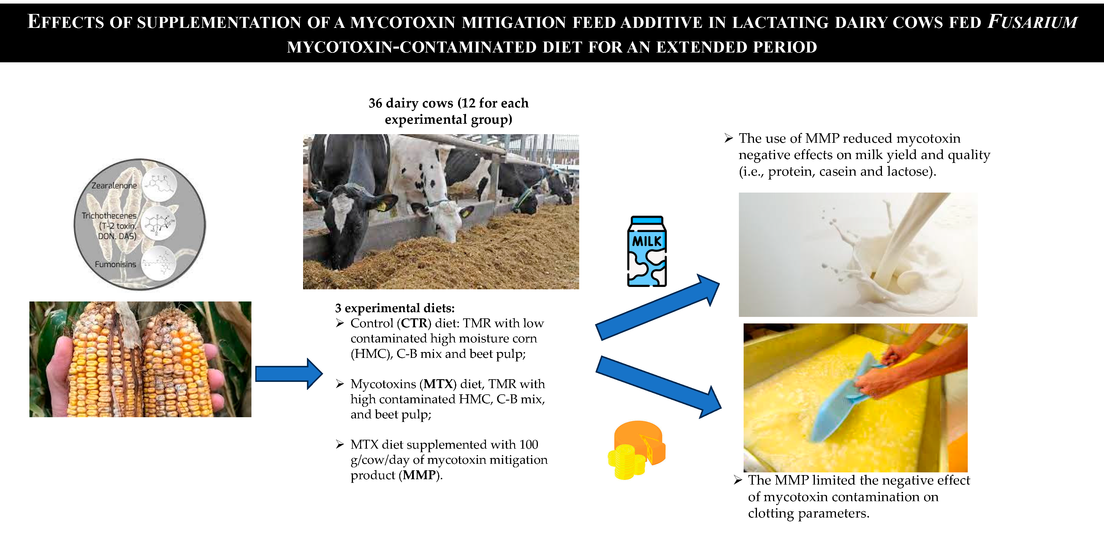 Effects Of Supplementation Of A Mycotoxin Mitigation Feed Additive In Effects Of Supplementation Of A Mycotoxin Mitigation Feed Additive In