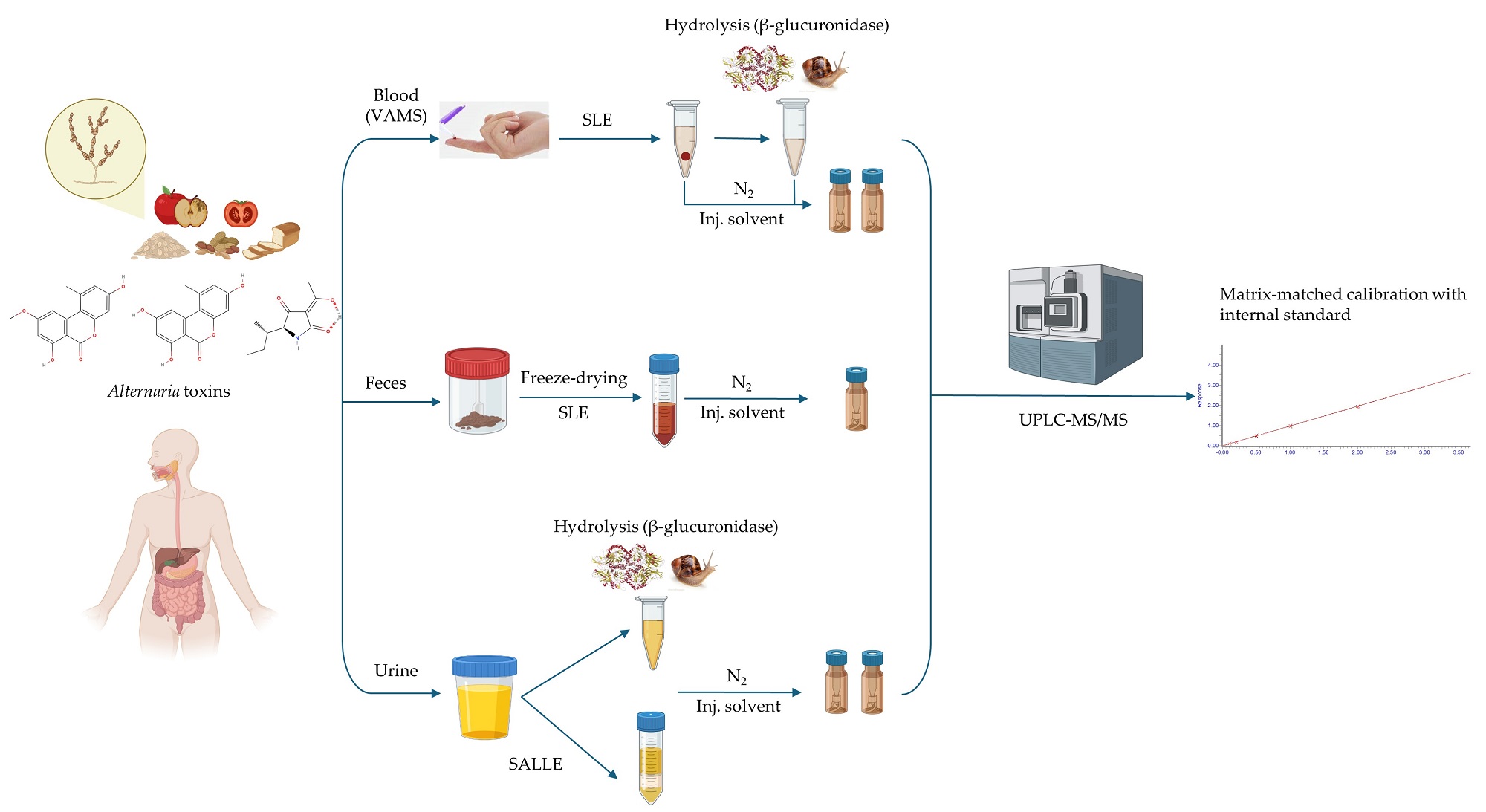 Toxins | An Open Access Journal from MDPI