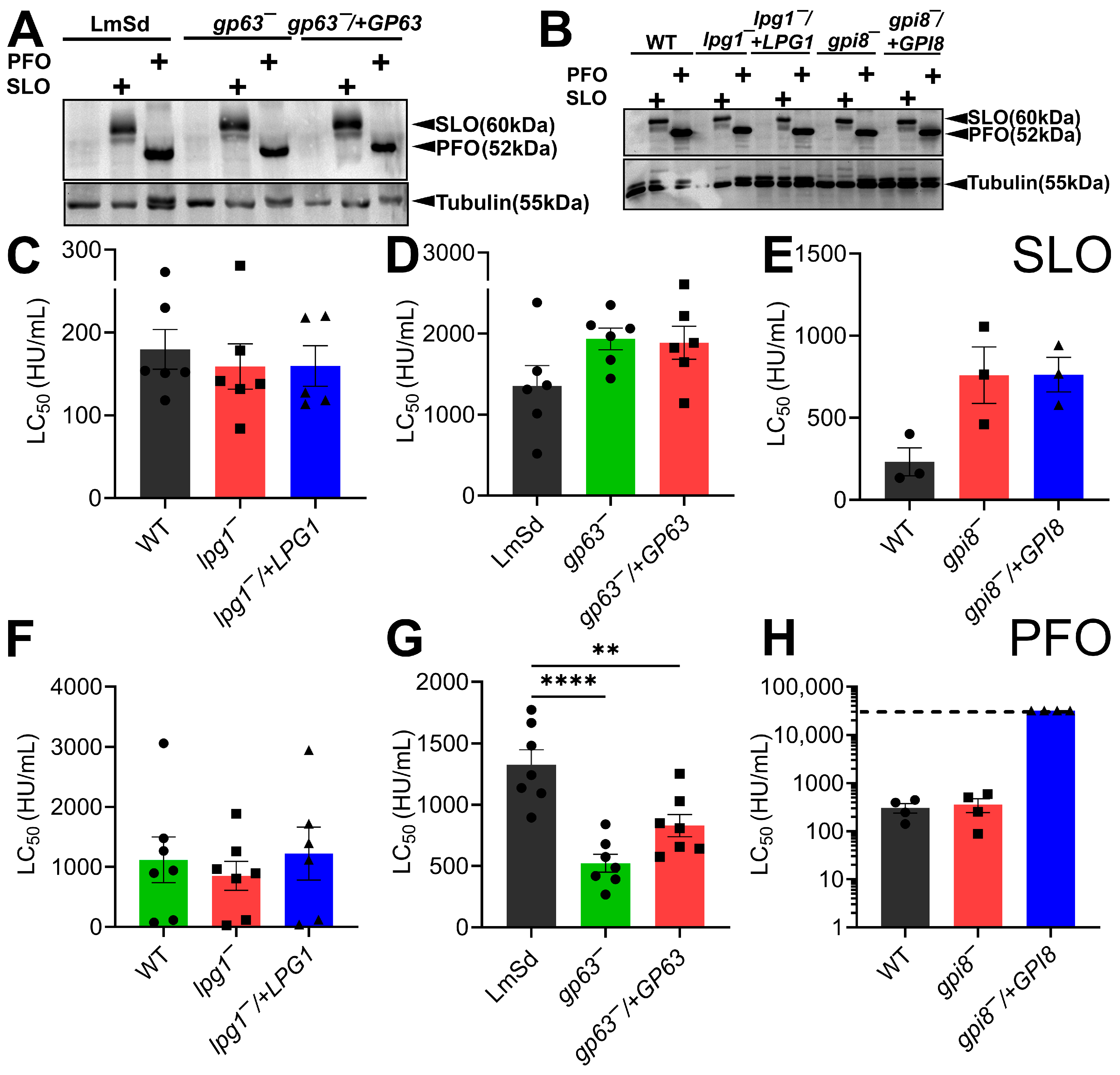 Functional Dissection of Leishmania major Membrane Components in ...