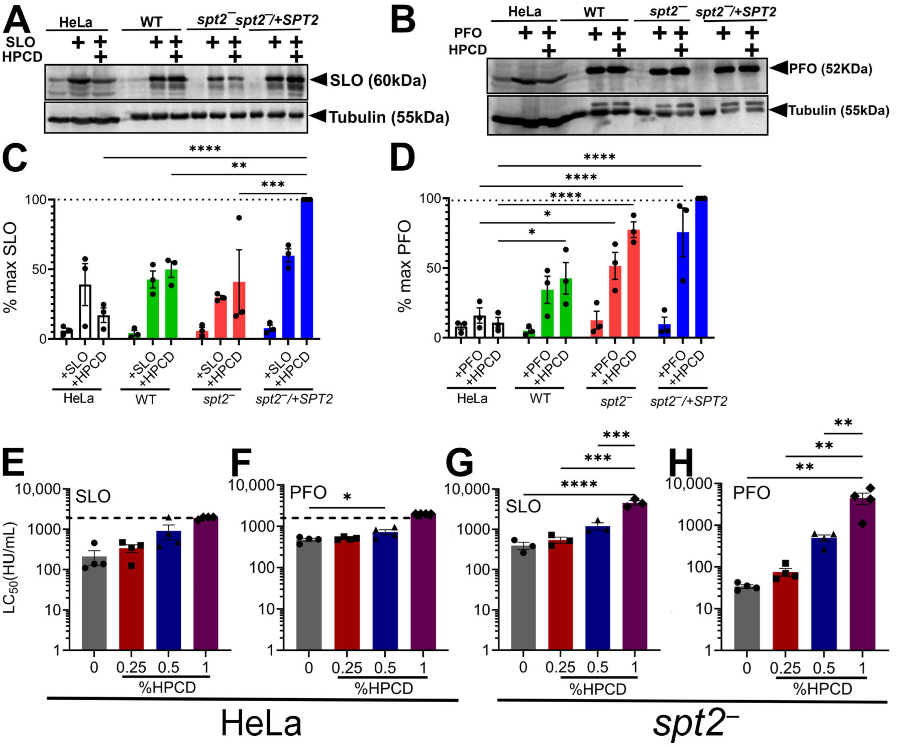 Functional Dissection of Leishmania major Membrane Components in ...