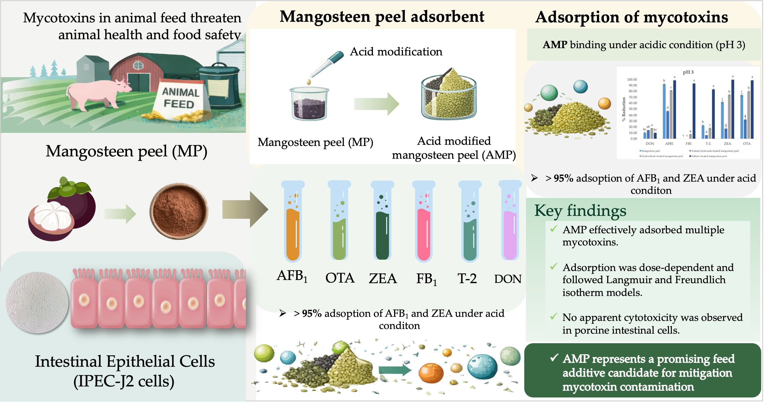 Efficacy of Acid-Treated Mangosteen Peel as a Broad-Spectrum Mycotoxin ...