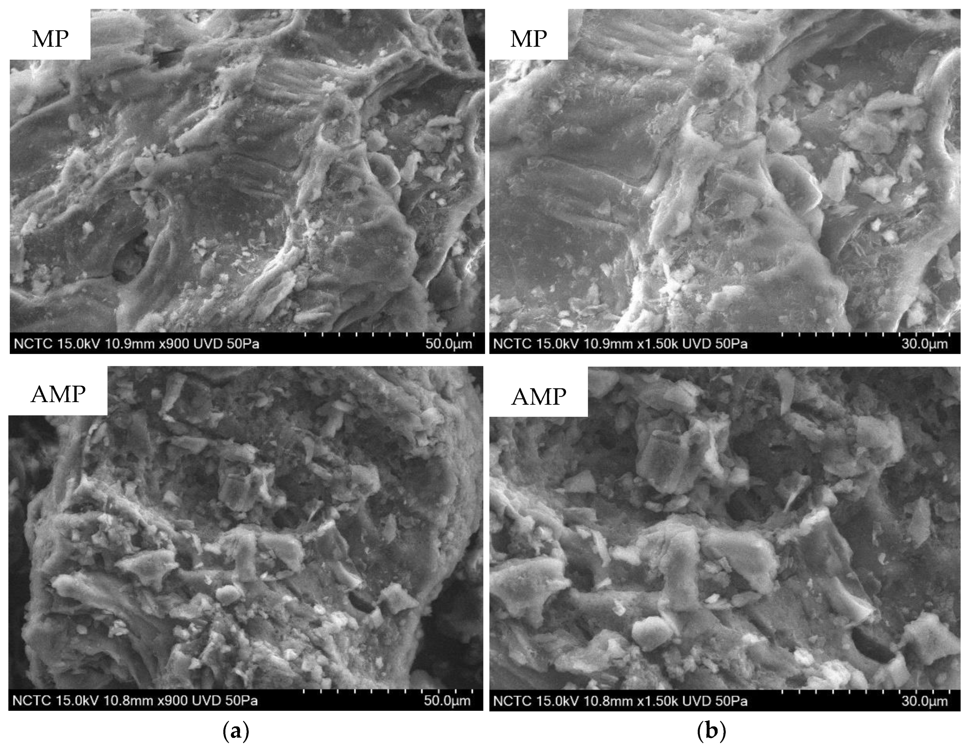 Efficacy of Acid-Treated Mangosteen Peel as a Broad-Spectrum Mycotoxin ...
