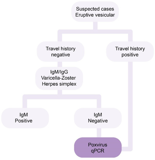 TropicalMed | Free Full-Text | First Case of Monkeypox in Venezuela ...