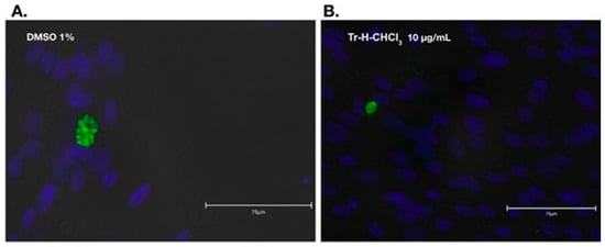 Concurrent Assessment of Synthetic and Natural Compounds on the ...