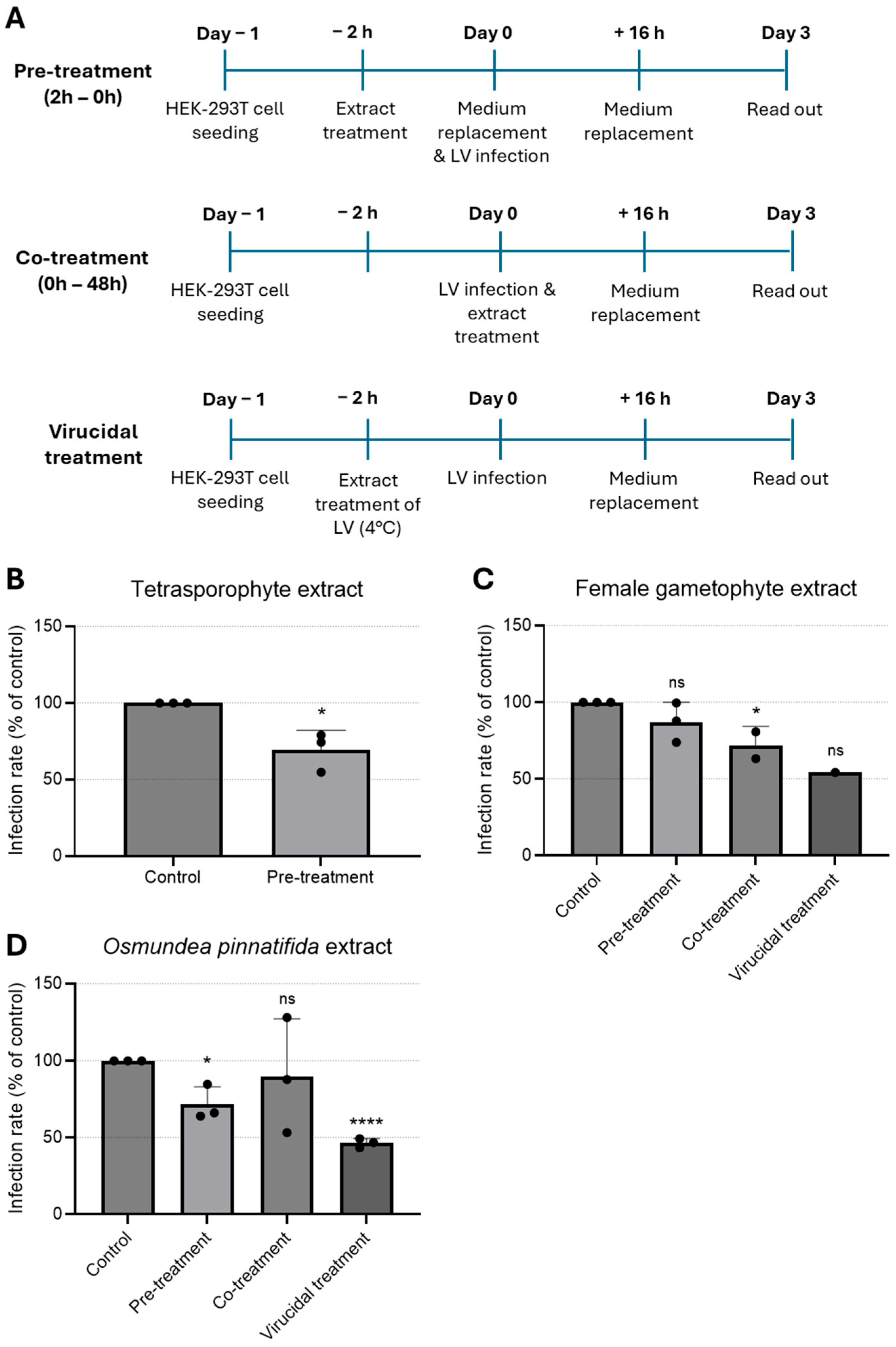 In Vitro Antiviral Activity of Red Algae Extracts from Chondracanthus ...