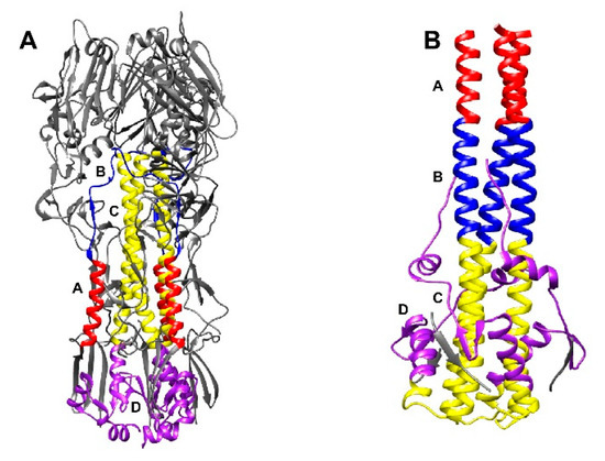 Neutralizing Antibodies Targeting the Conserved Stem Region of ...