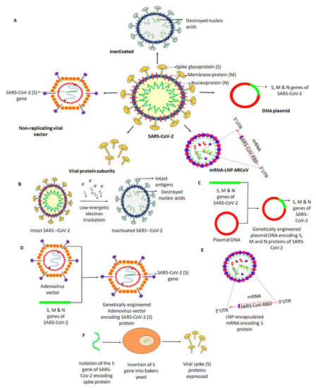 Platforms Exploited for SARS-CoV-2 Vaccine Development