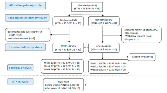 Durability of Antibody Response after Primary Pneumococcal Double-Dose ...