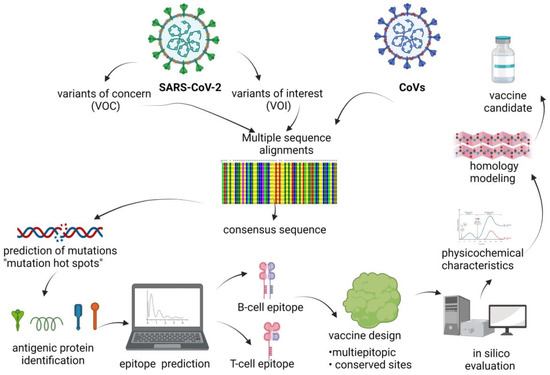The Advantage of Using Immunoinformatic Tools on Vaccine Design and Development for Coronavirus