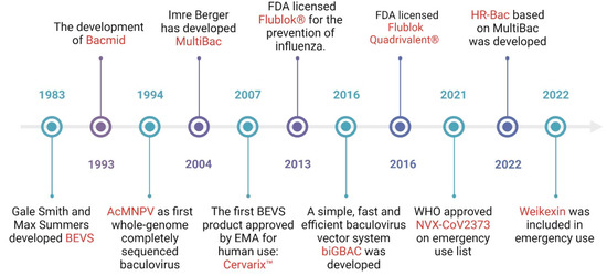 Application of Baculovirus Expression Vector System (BEVS) in Vaccine ...
