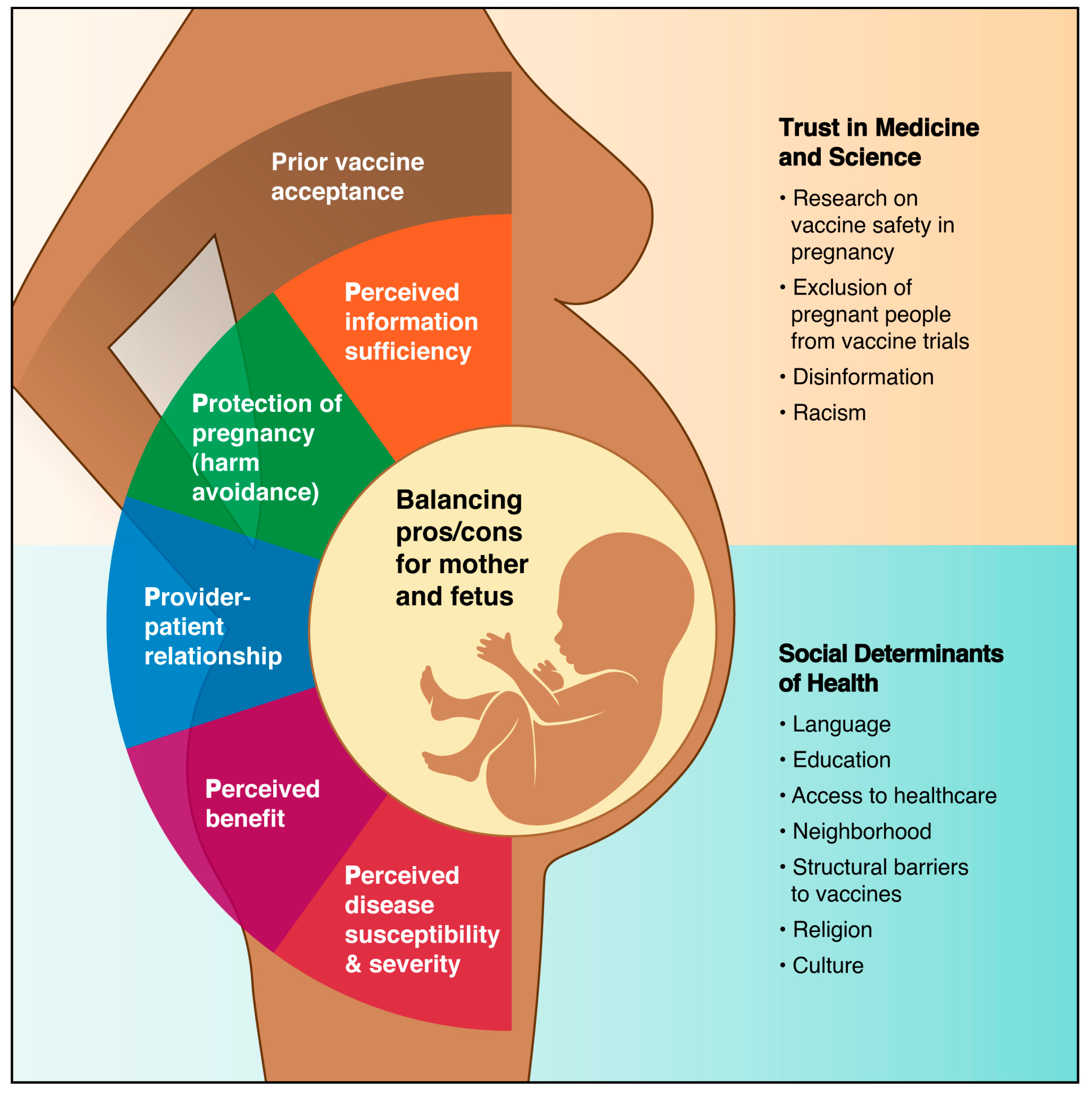 Vaccines Free Full Text A Mother s Dilemma The 5 P Model For Vaccines Free Full Text A Mother s Dilemma The 5 P Model For