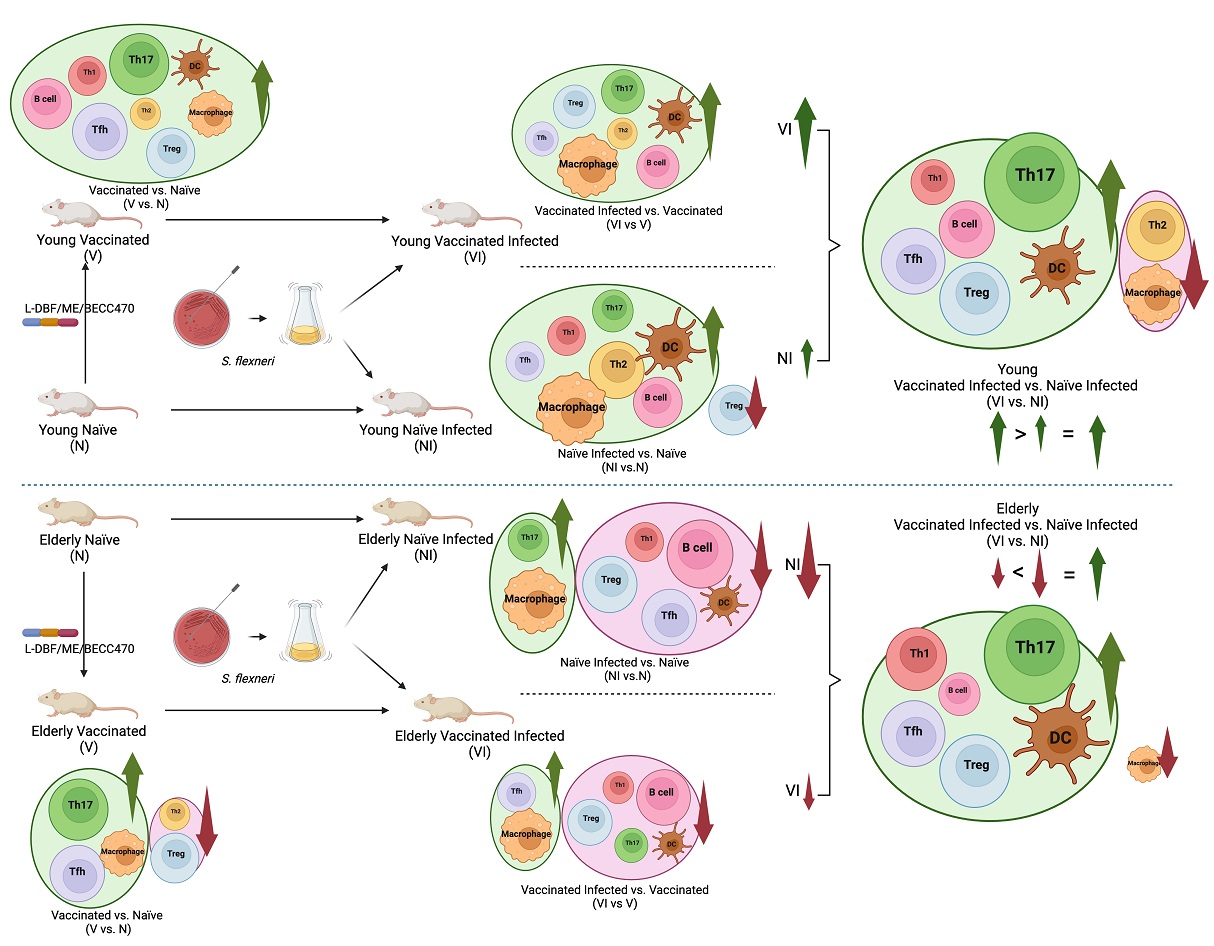 Vaccines | An Open Access Journal from MDPI