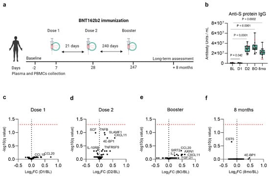 Long-Lasting Enhanced Cytokine Responses Following SARS-CoV-2 BNT162b2 ...