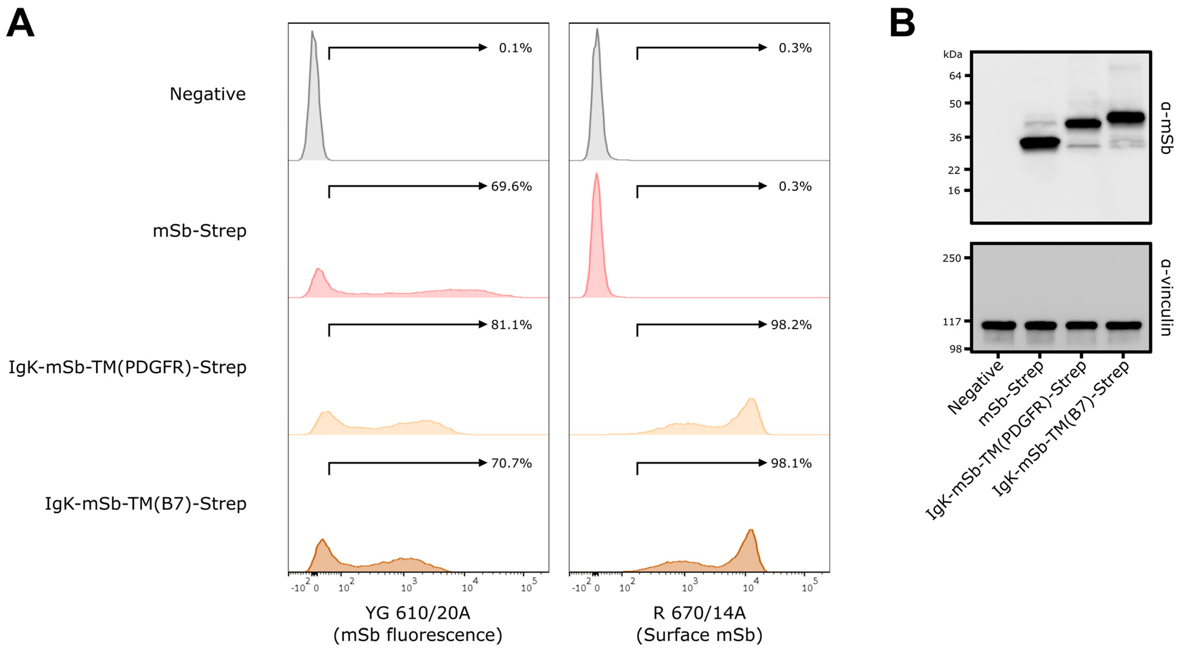 Self-Multimerization of mRNA LNP-Derived Antigen Improves Antibody ...