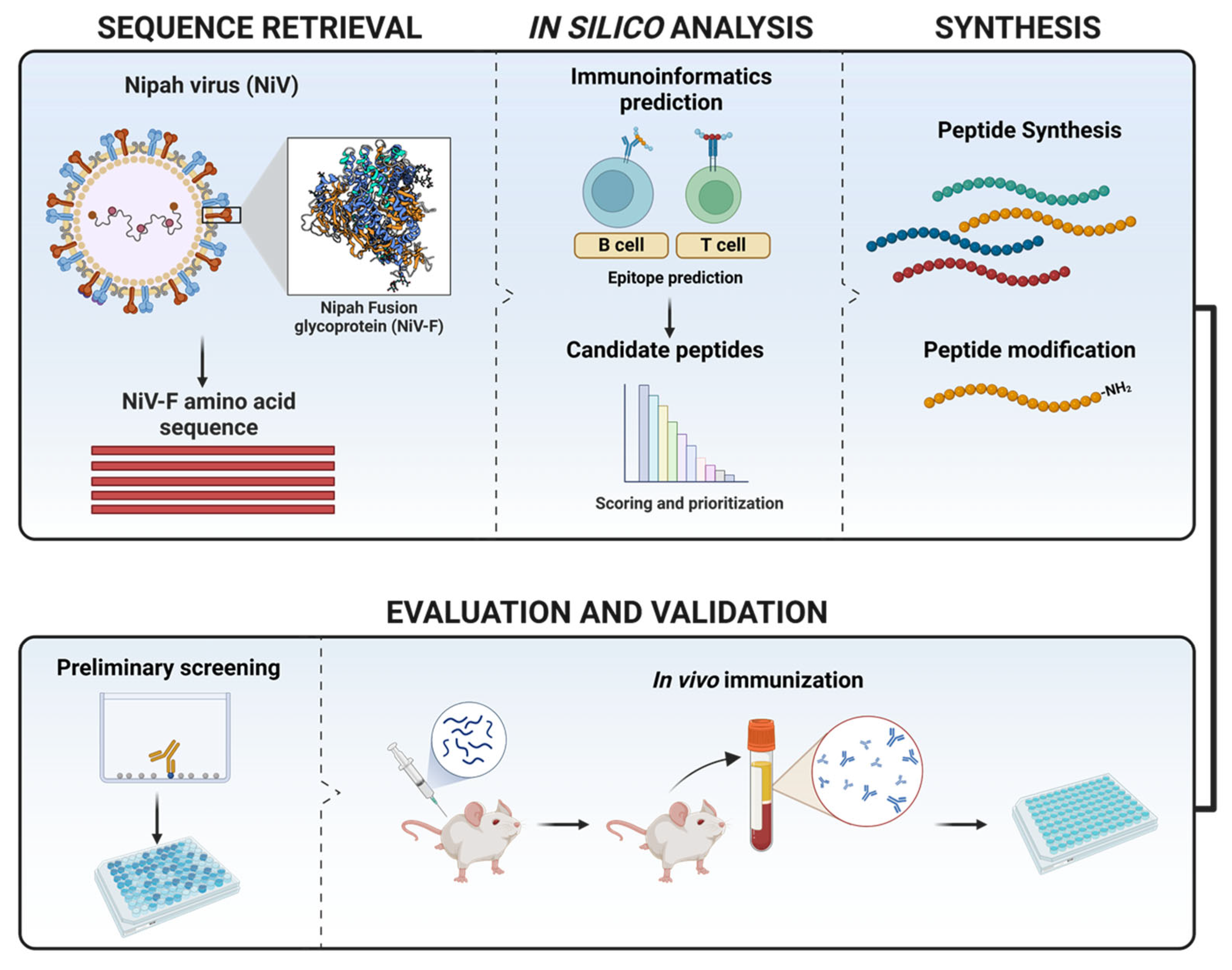 Exploratory Evaluation of Peptide-Based Immunization Targeting Fusion ...