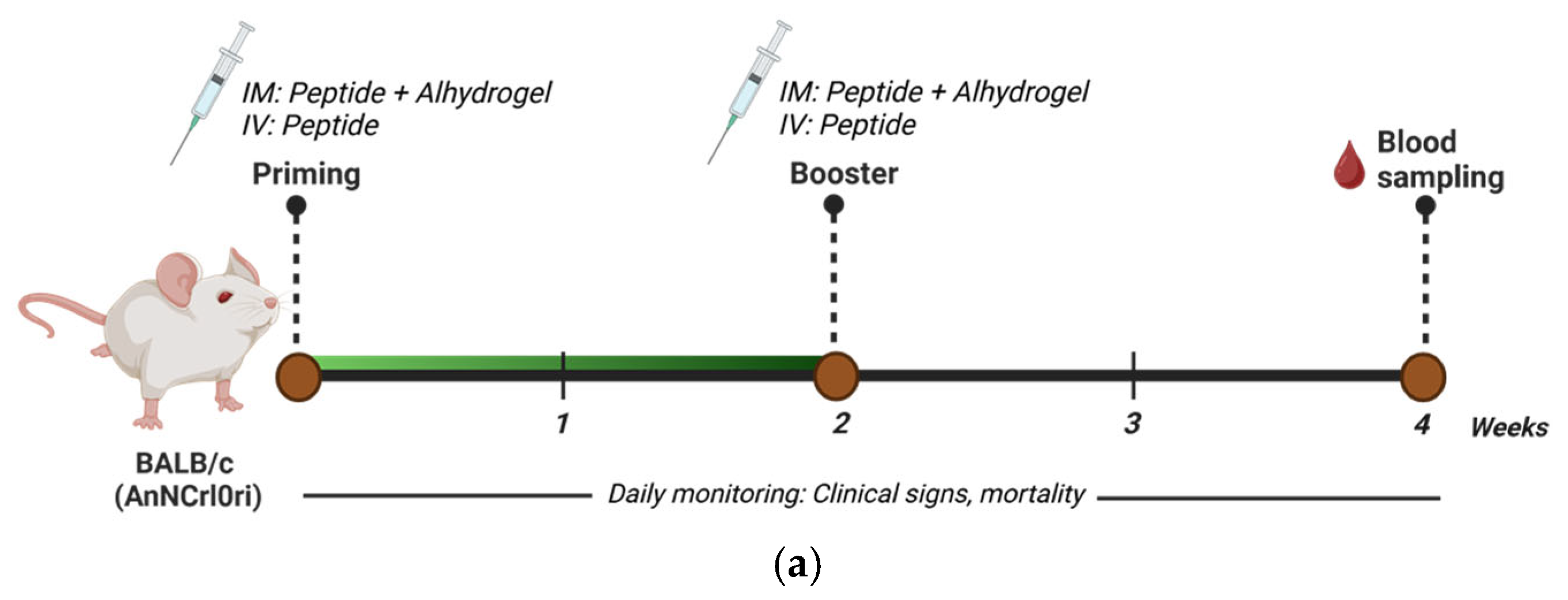Exploratory Evaluation of Peptide-Based Immunization Targeting Fusion ...