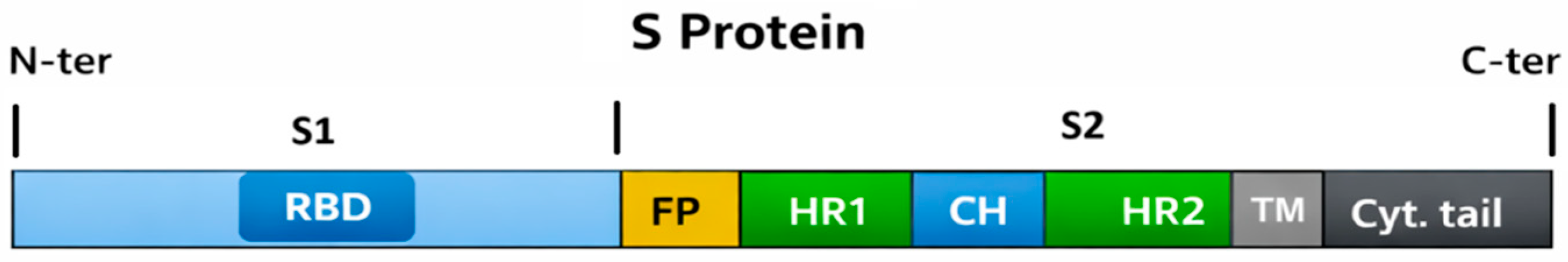 Challenges and Prospects in the Development of a Universal SARS-CoV-2 ...