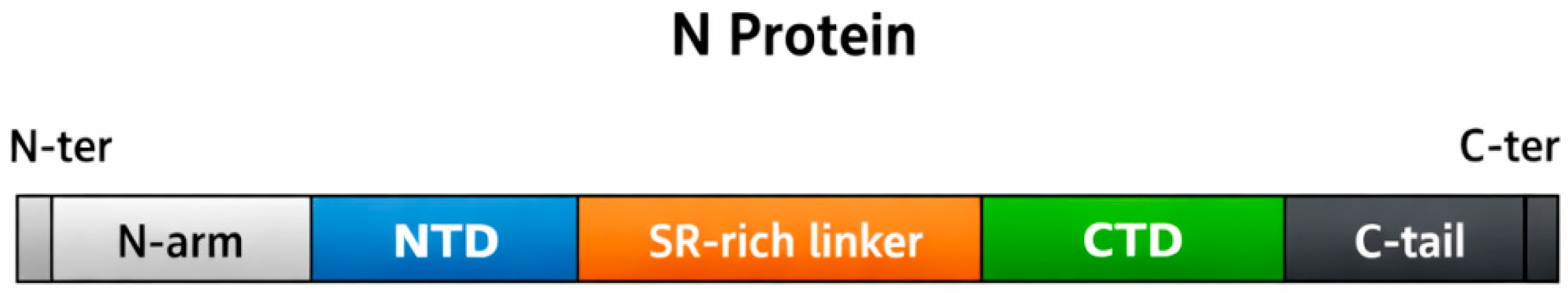 Challenges and Prospects in the Development of a Universal SARS-CoV-2 ...