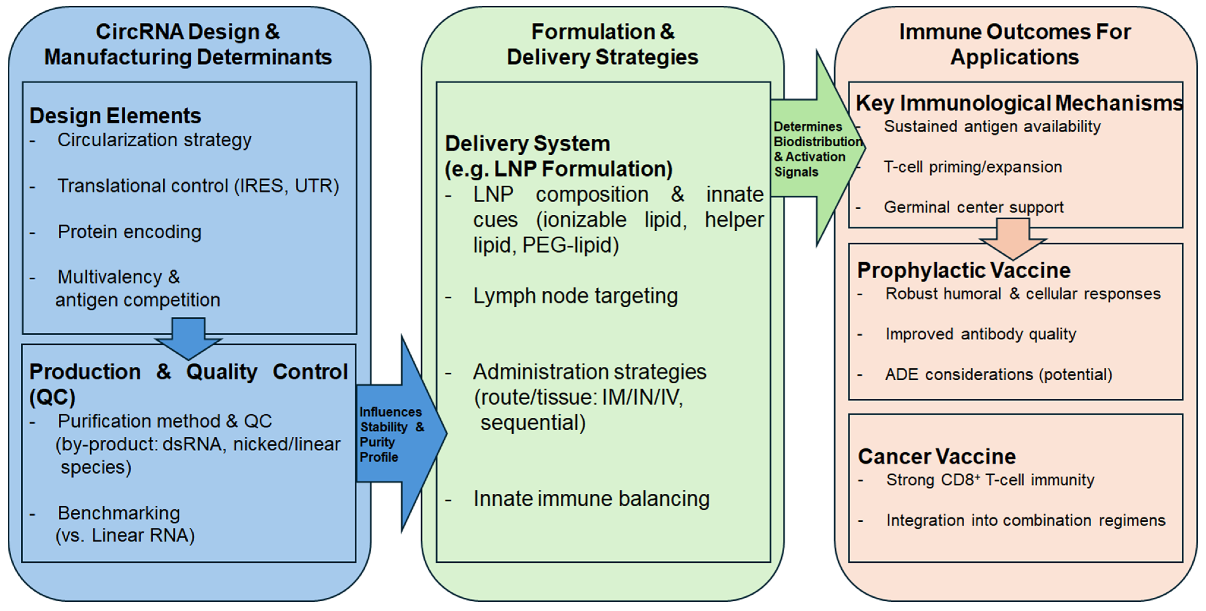 Circular RNA as a New Vaccine Platform: Considerations, Challenges, and ...