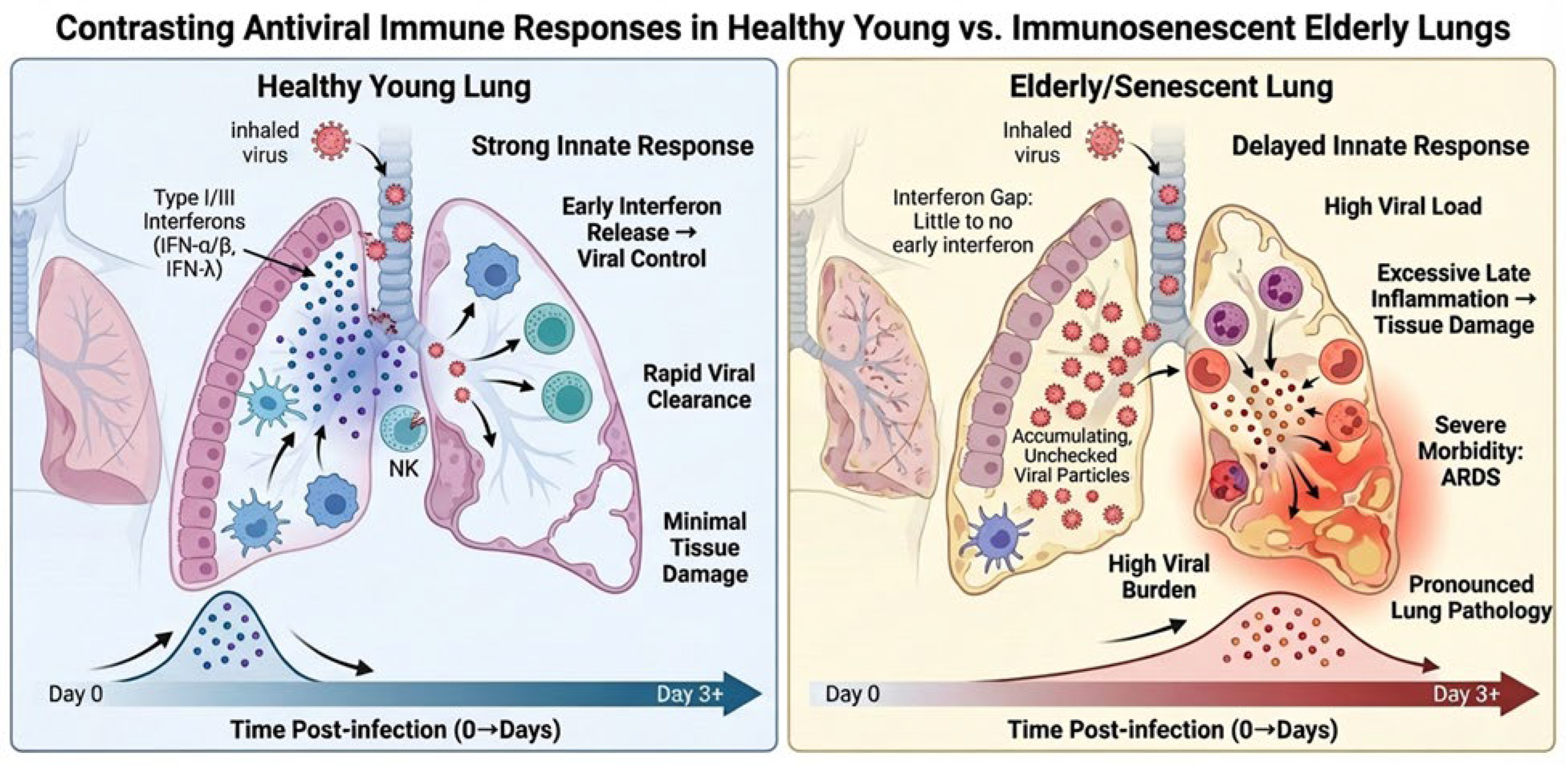 A Virus-Agnostic Cellular Immunomodulatory Platform for Chronic ...