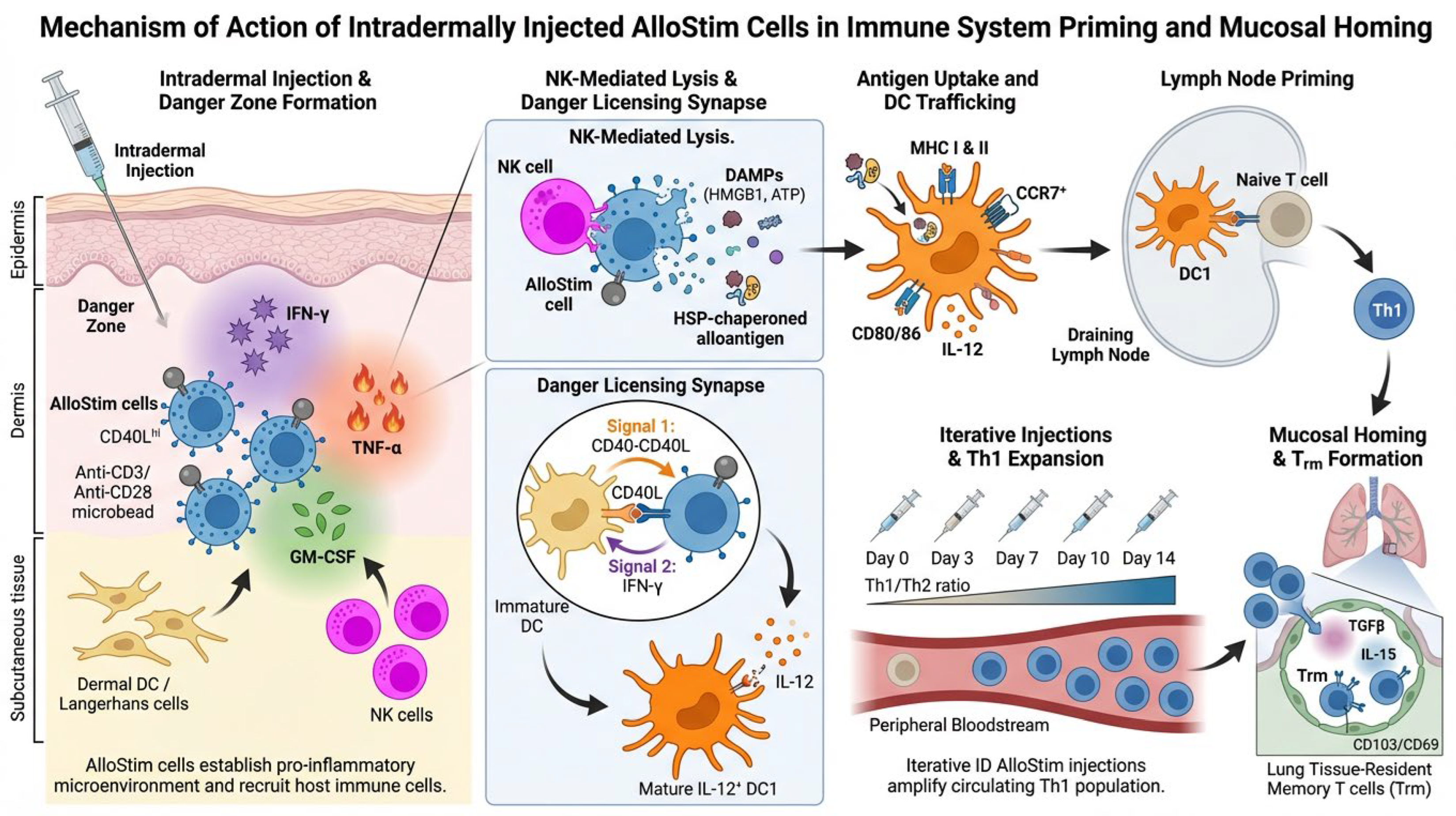 A Virus-Agnostic Cellular Immunomodulatory Platform for Chronic ...
