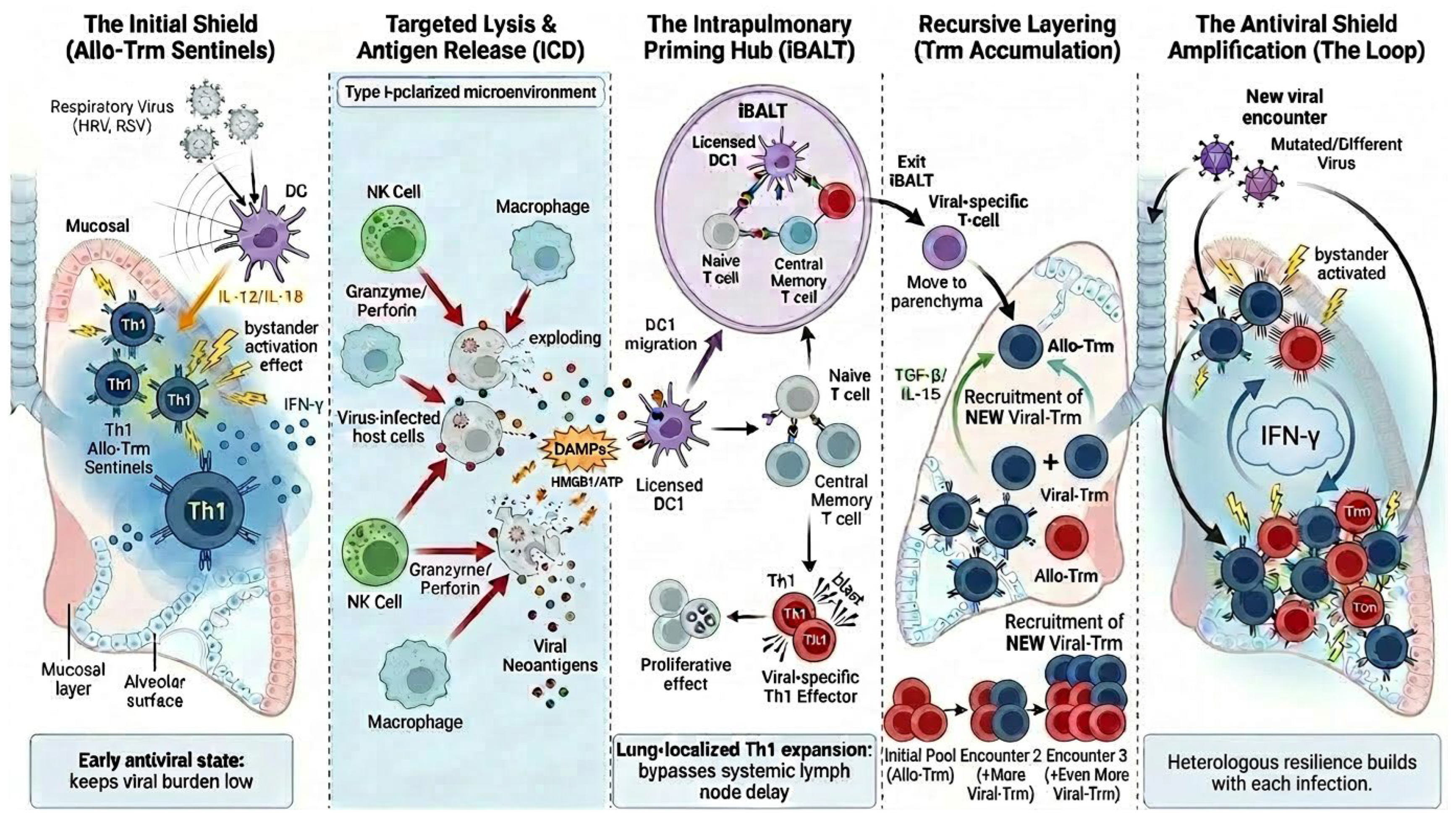 A Virus-Agnostic Cellular Immunomodulatory Platform for Chronic ...