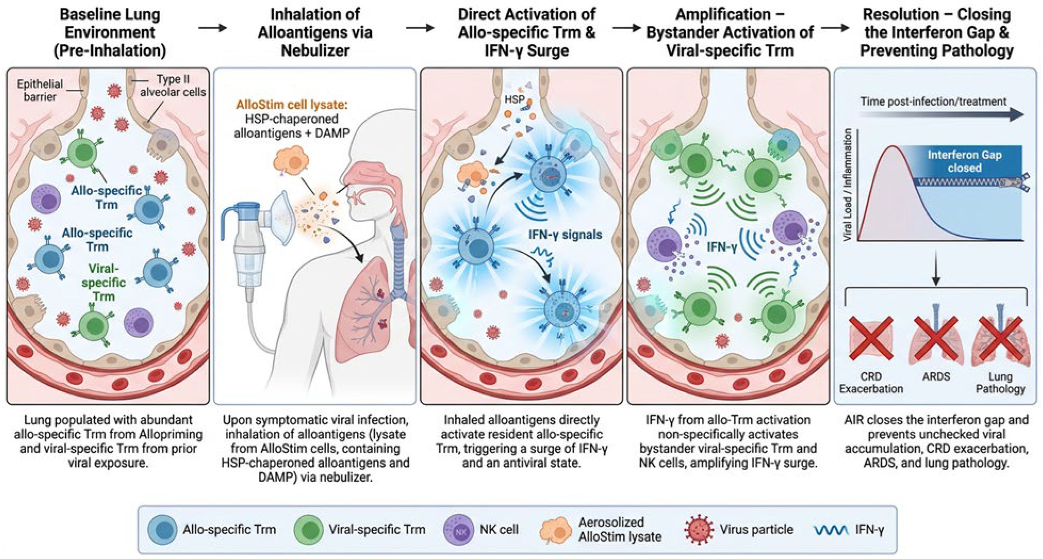 A Virus-Agnostic Cellular Immunomodulatory Platform for Chronic ...