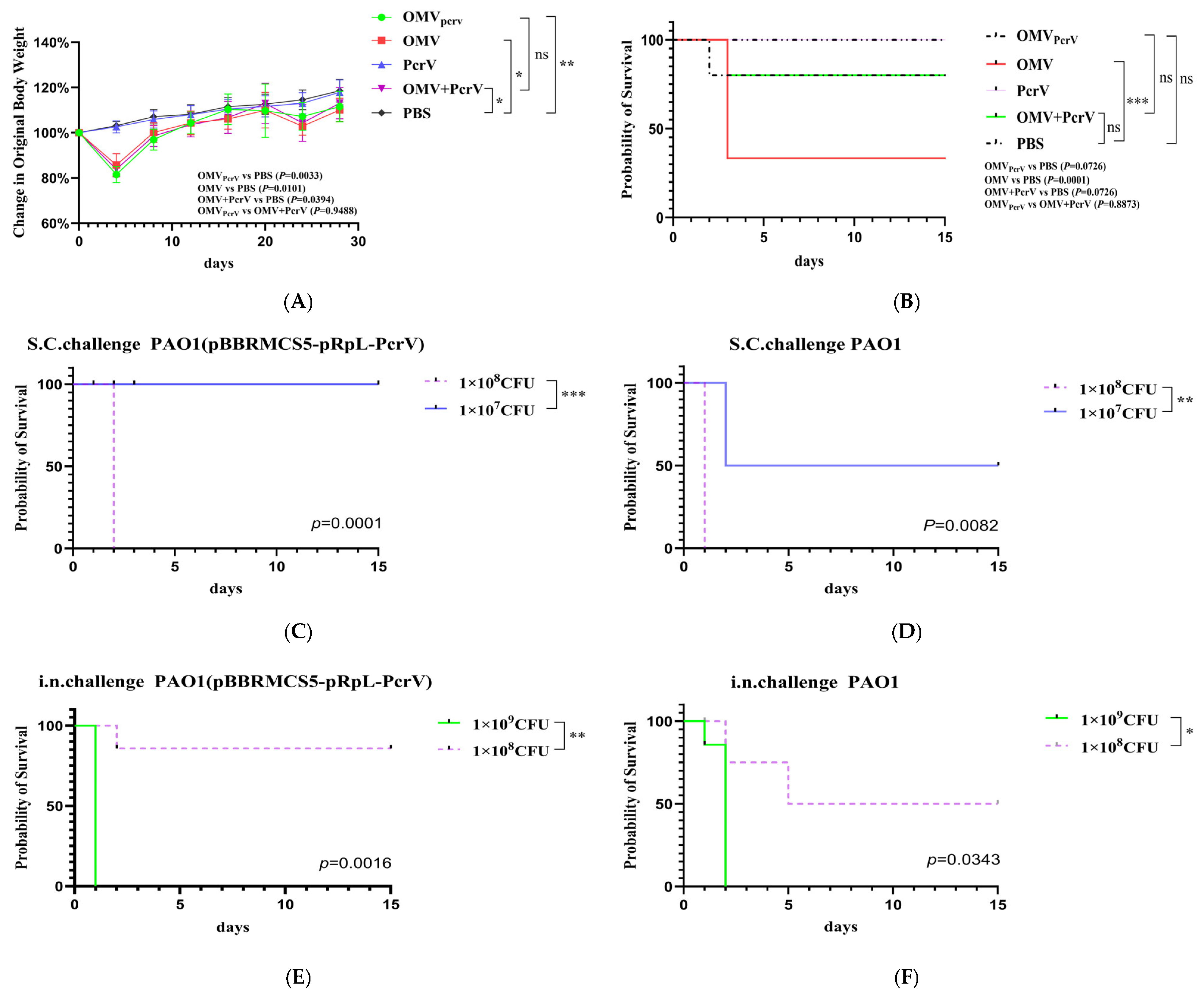 A Recombinant OMV-Based Vaccine Elicits Potent Protective Immunity ...
