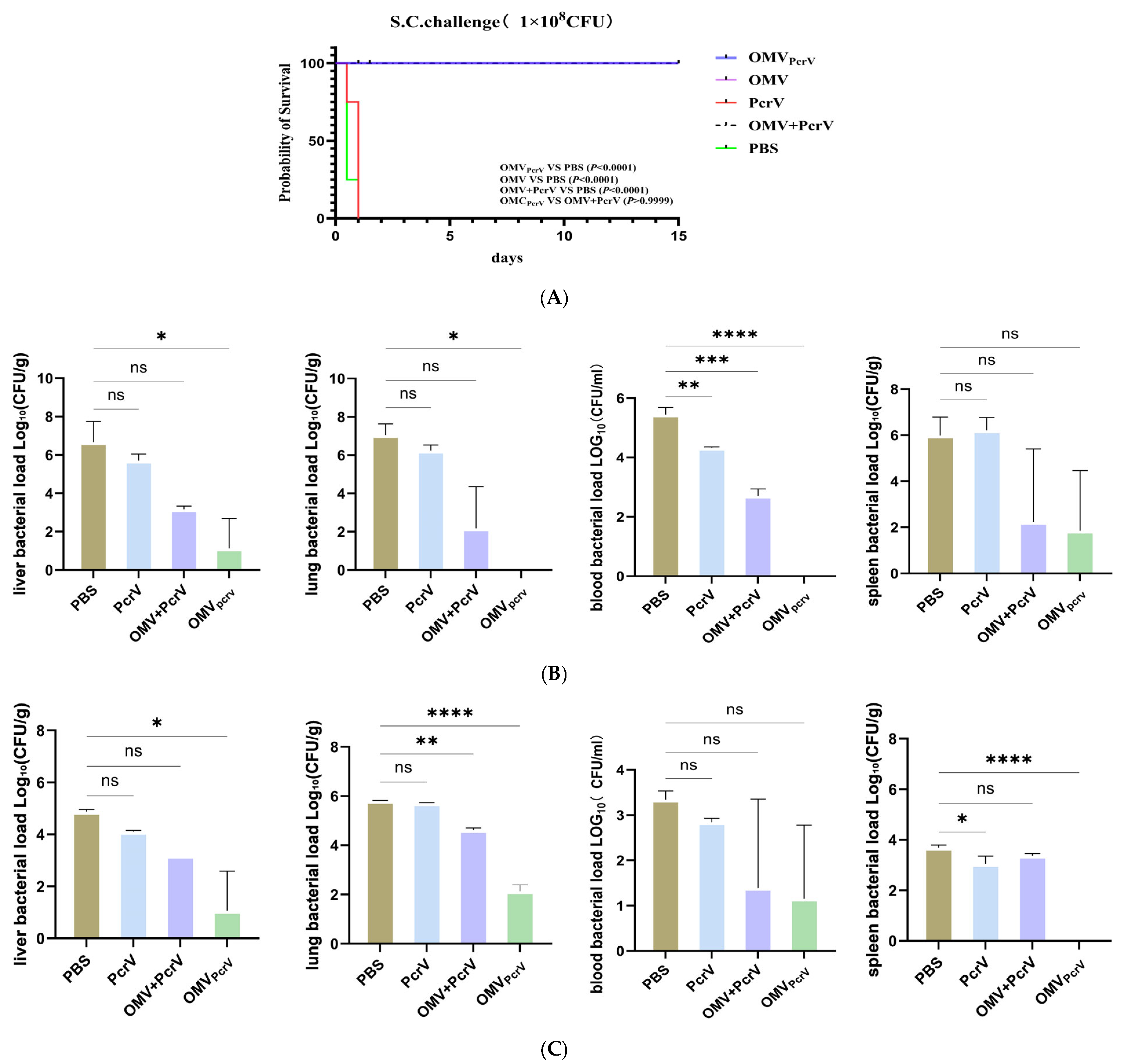 A Recombinant OMV-Based Vaccine Elicits Potent Protective Immunity ...