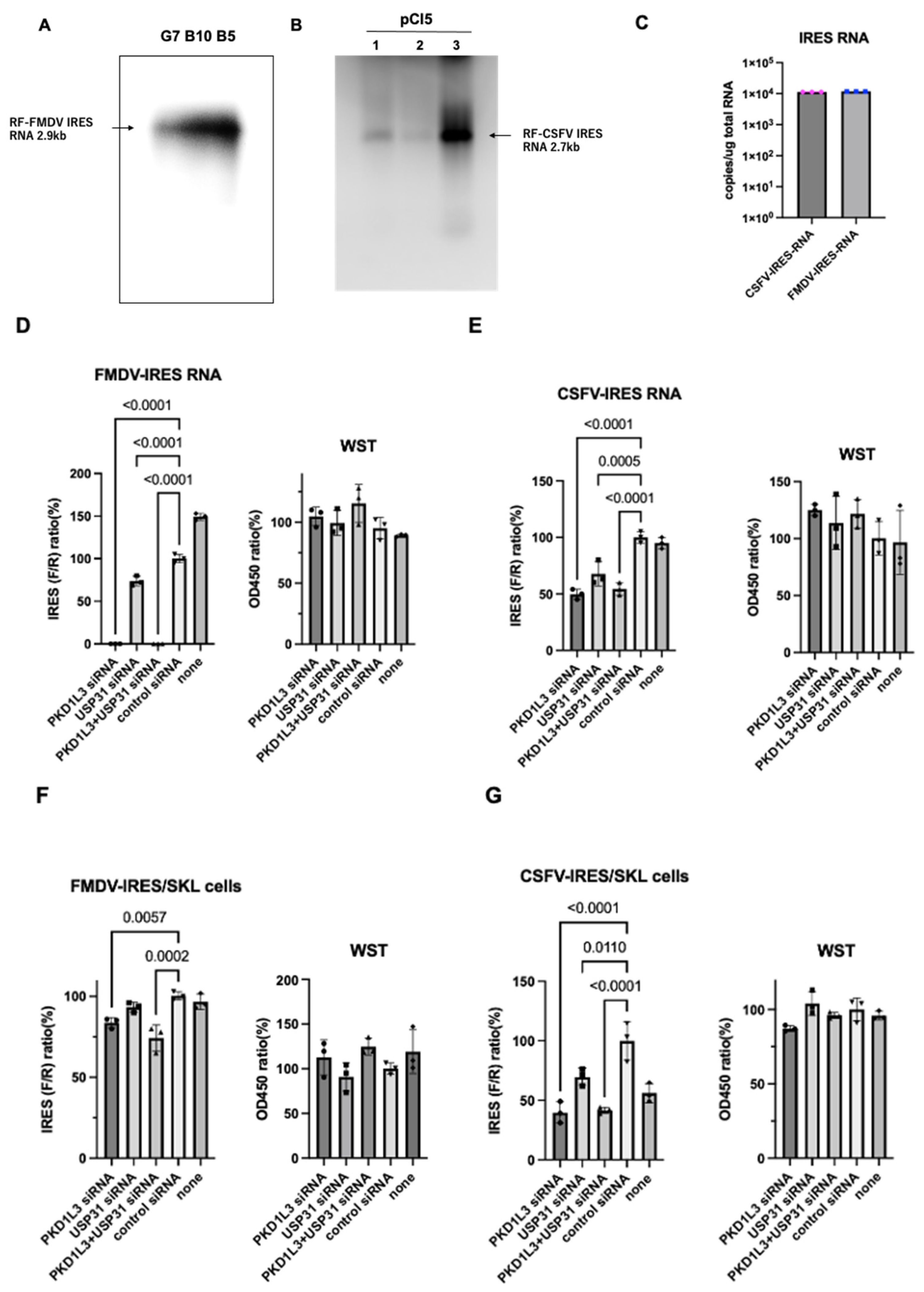 Comparison of the Regulatory Effects of Host Factors on Viral Internal ...