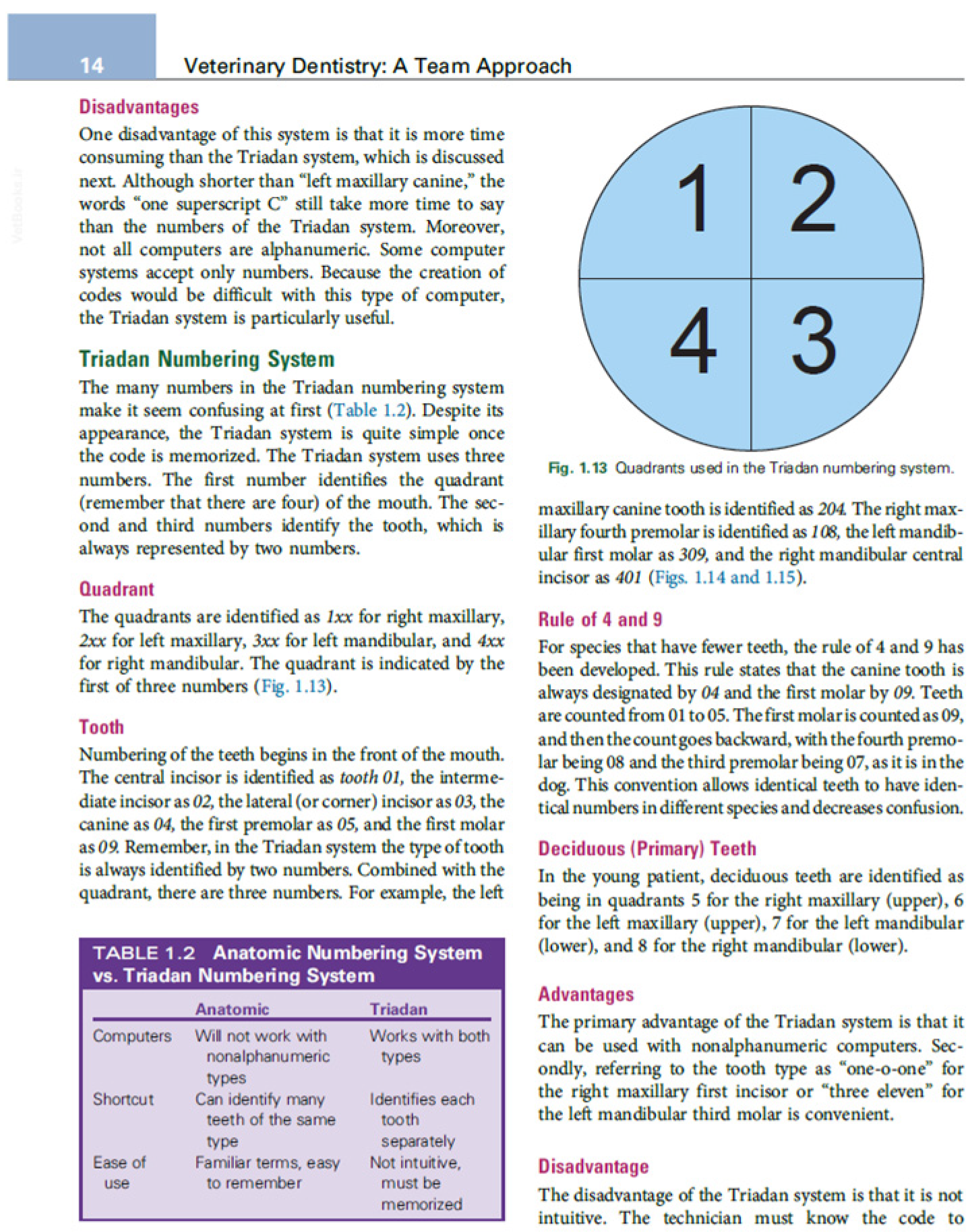 Anatomage Table Vet for Teaching the Triadan Dental Classification ...