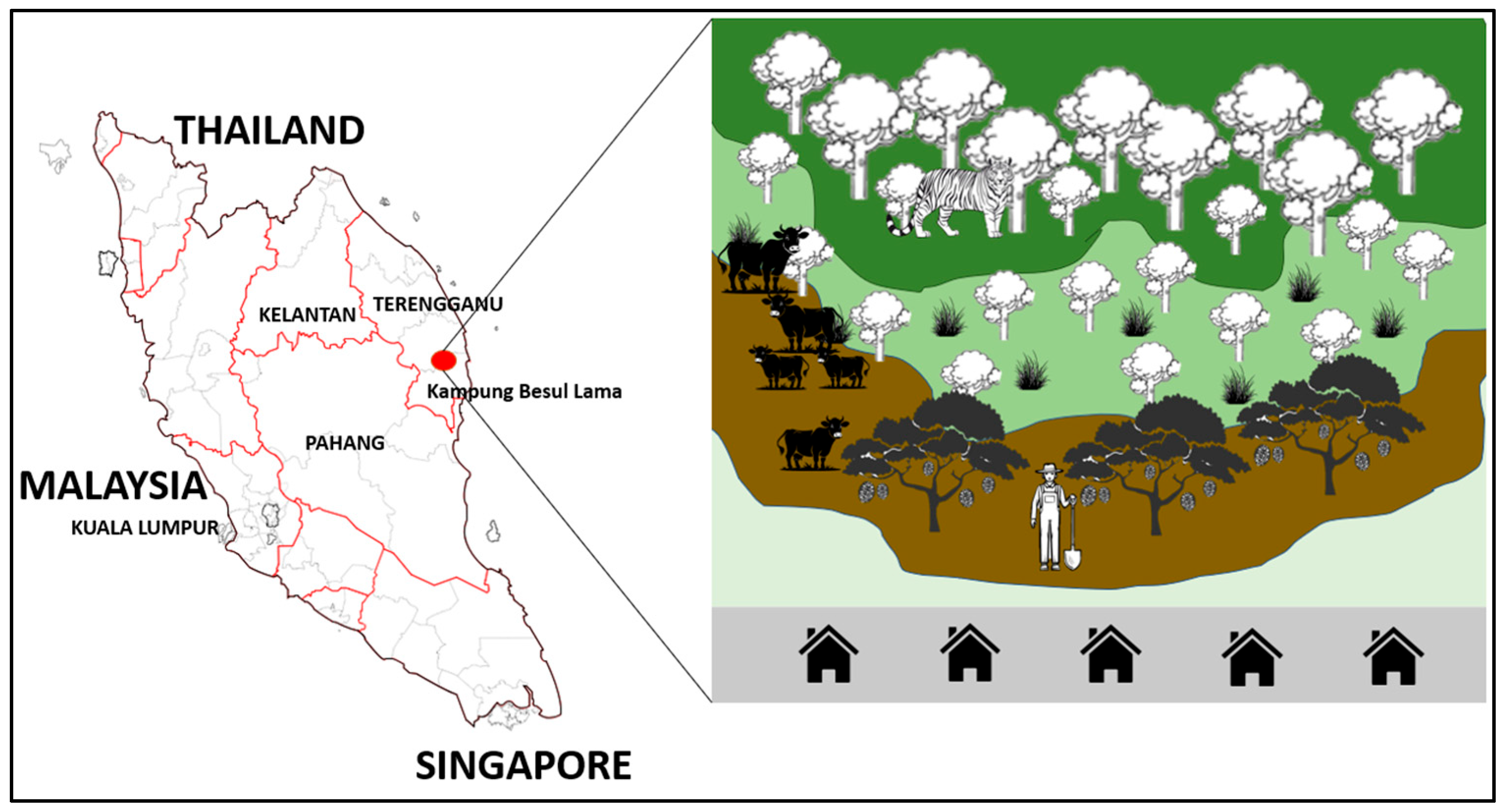 Preliminary Study on the Development of a Transmission Model for Canine ...