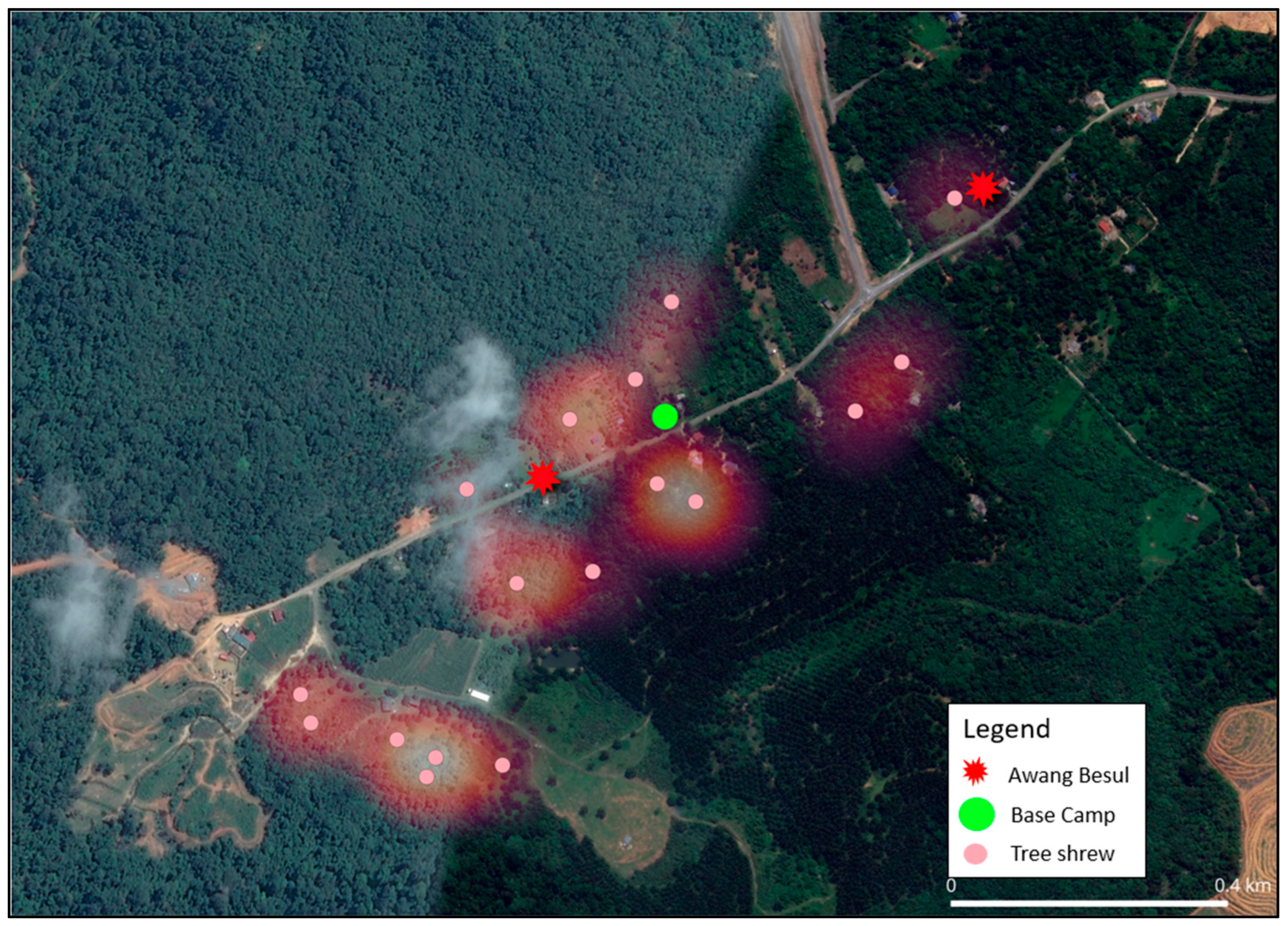 Preliminary Study on the Development of a Transmission Model for Canine ...