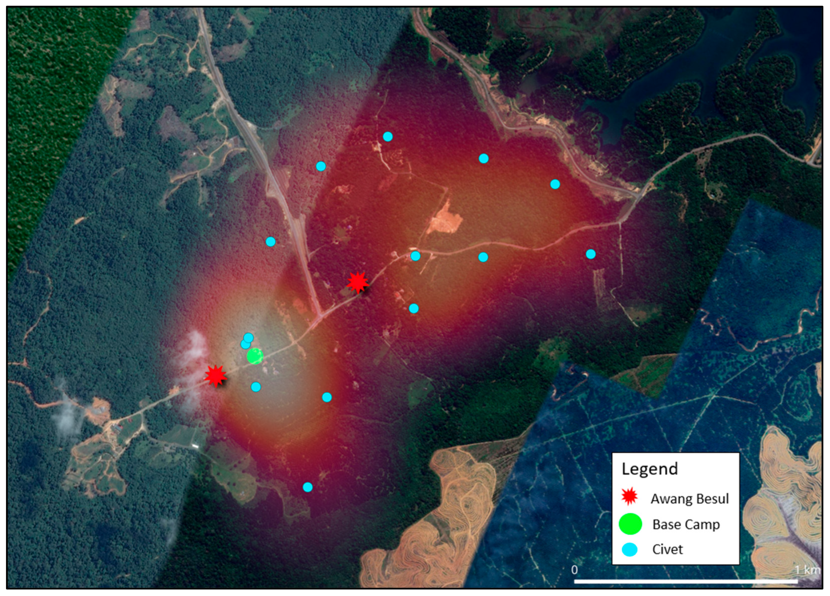 Preliminary Study on the Development of a Transmission Model for Canine ...