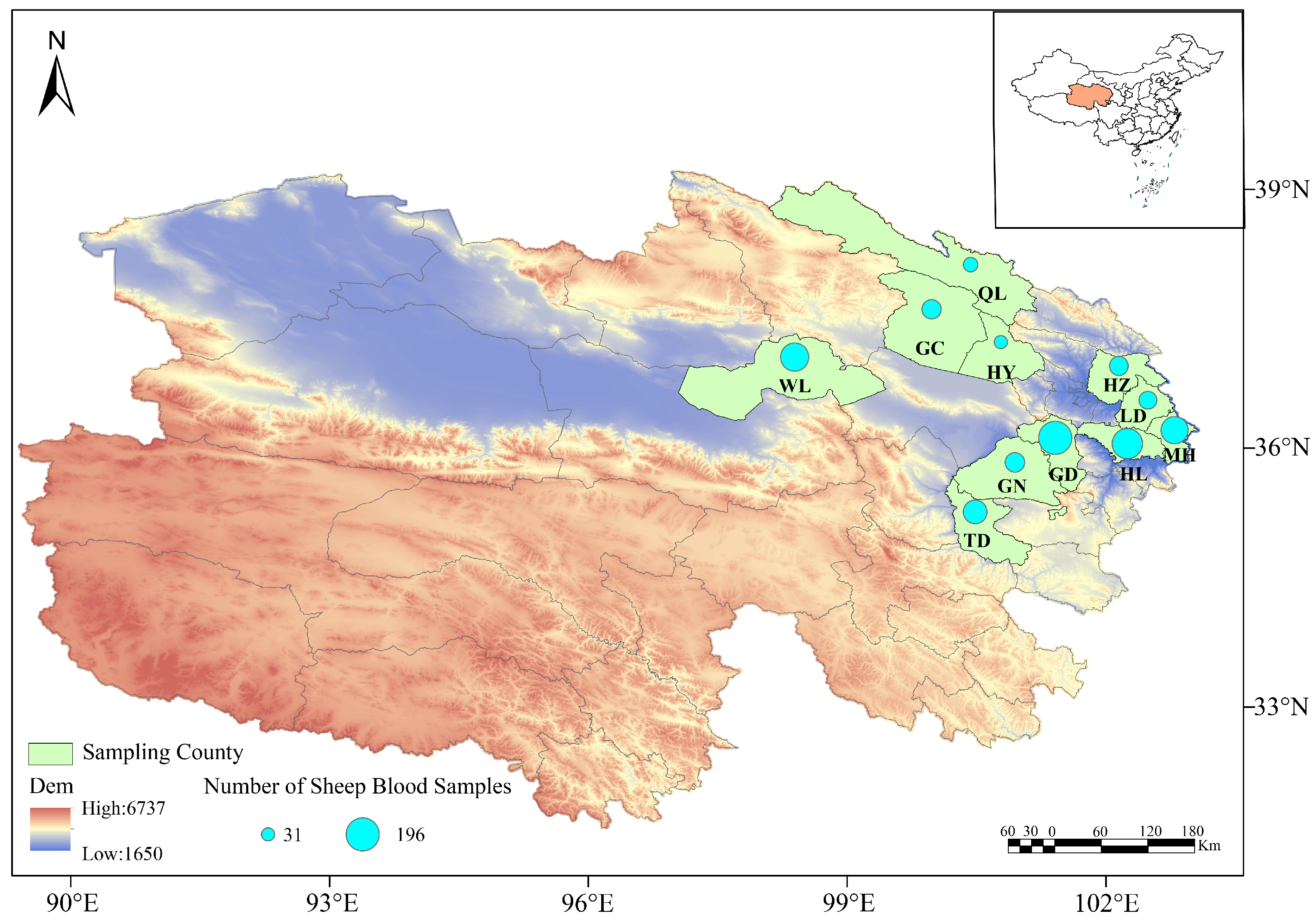 Molecular Evidence of Ovine Theileriosis in Selected Areas of Qinghai ...