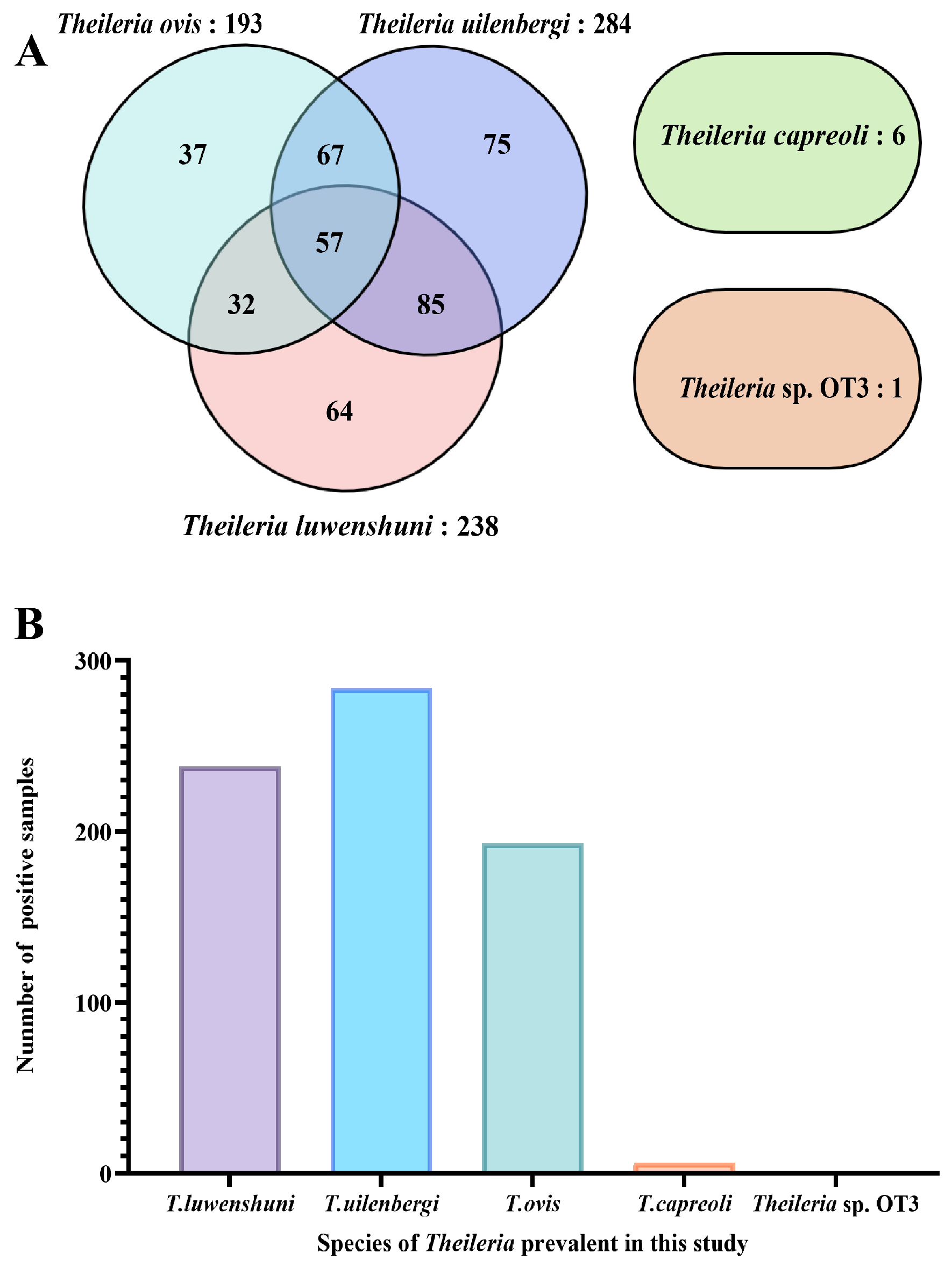 Molecular Evidence of Ovine Theileriosis in Selected Areas of Qinghai ...