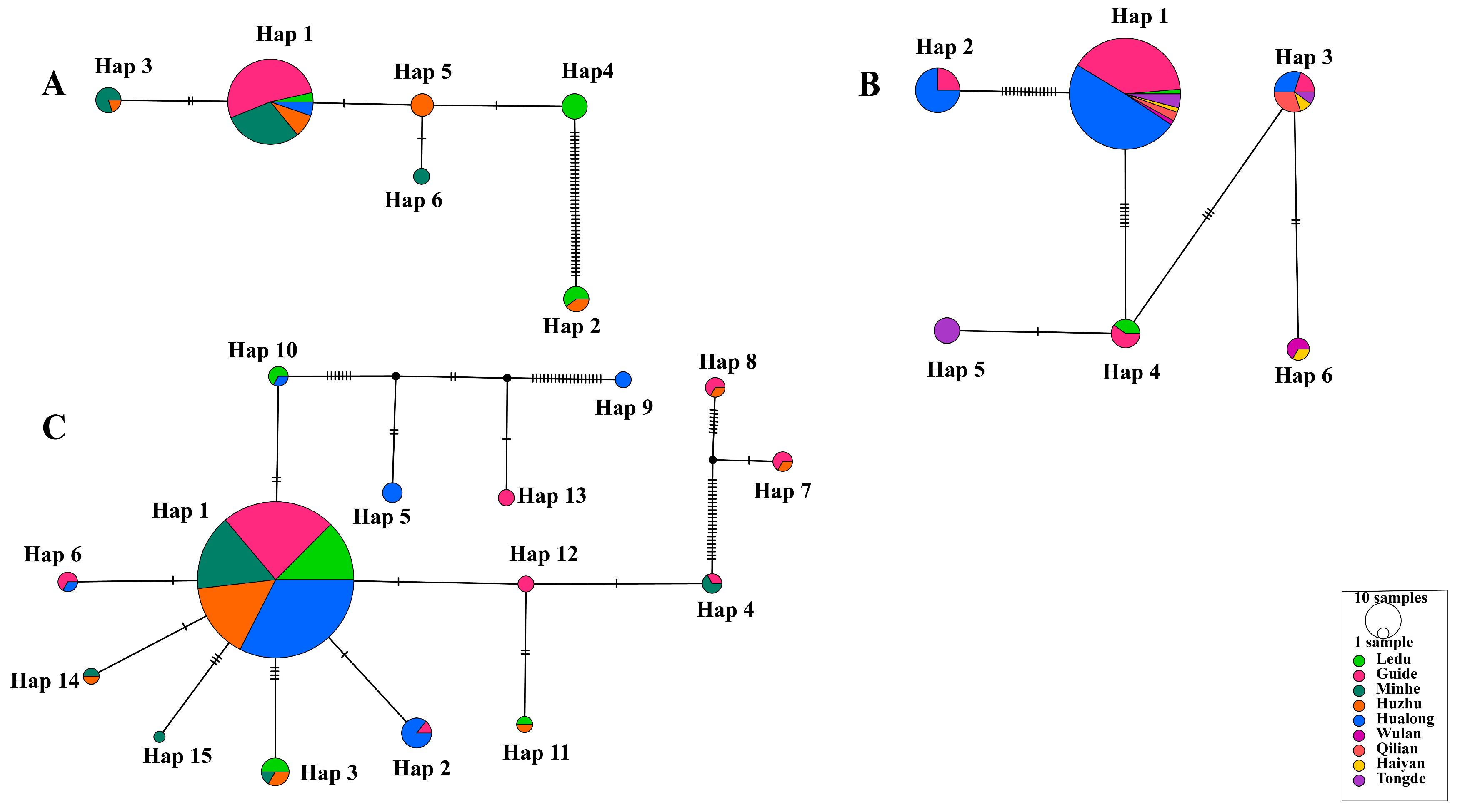 Molecular Evidence of Ovine Theileriosis in Selected Areas of Qinghai ...