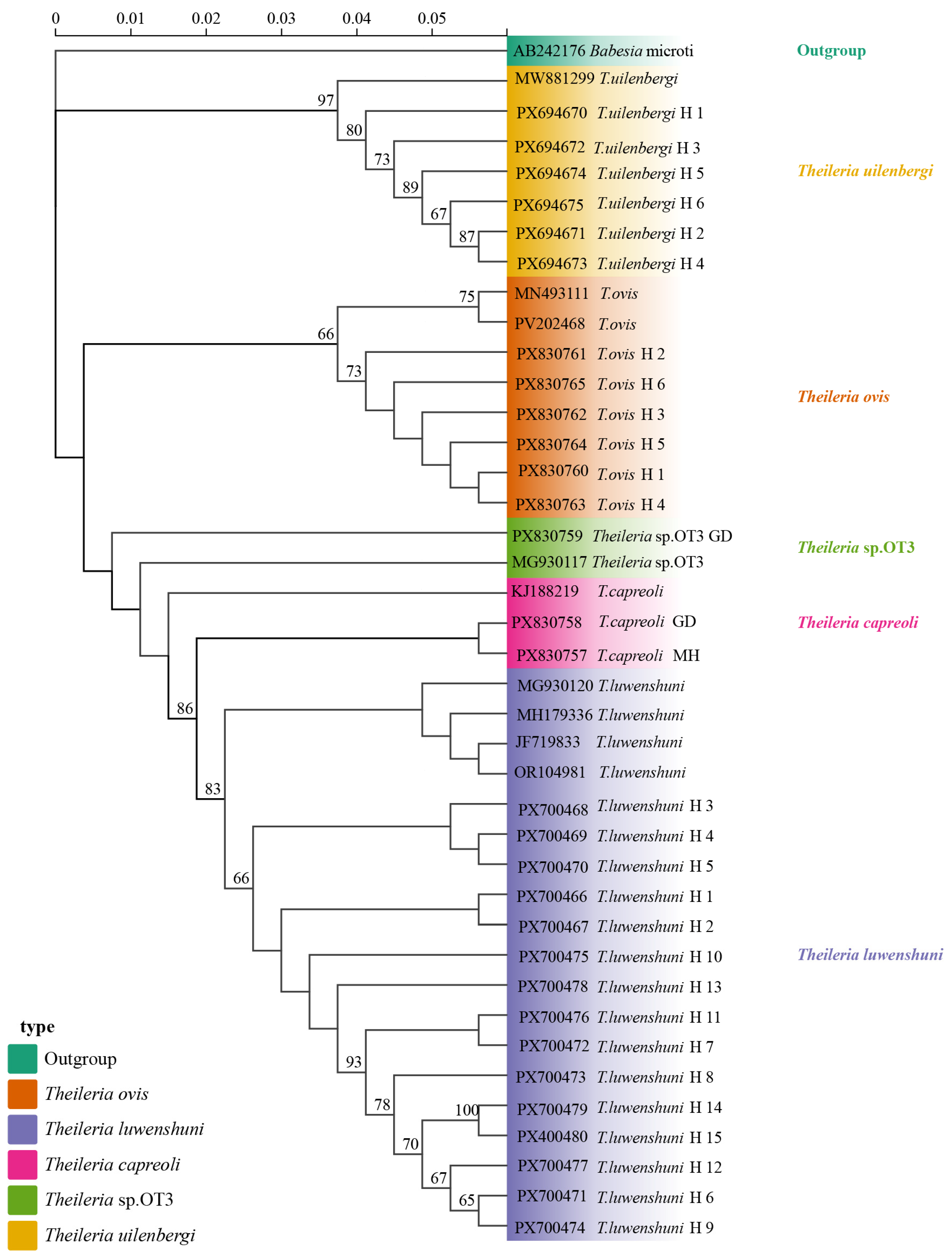 Molecular Evidence of Ovine Theileriosis in Selected Areas of Qinghai ...