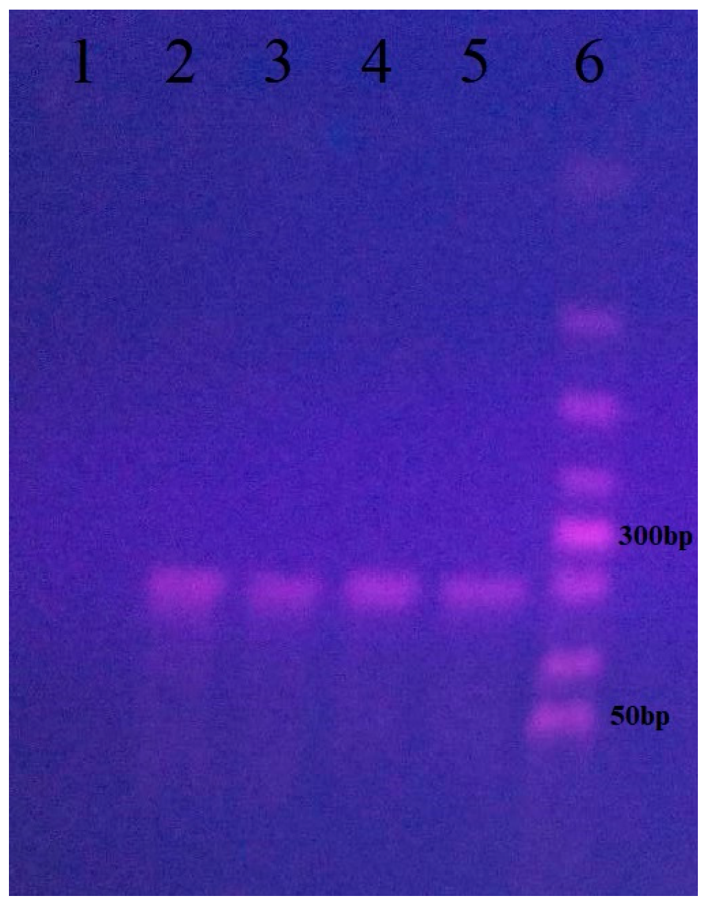Prevalence, Clinical Signs, Diagnosis and Treatment of Post-Pandemic ...