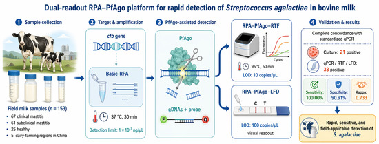 Development and Application of a Dual-Readout RPA-PfAgo System for ...