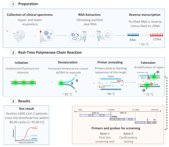 The Main Molecular and Serological Methods for Diagnosing COVID-19: An ...