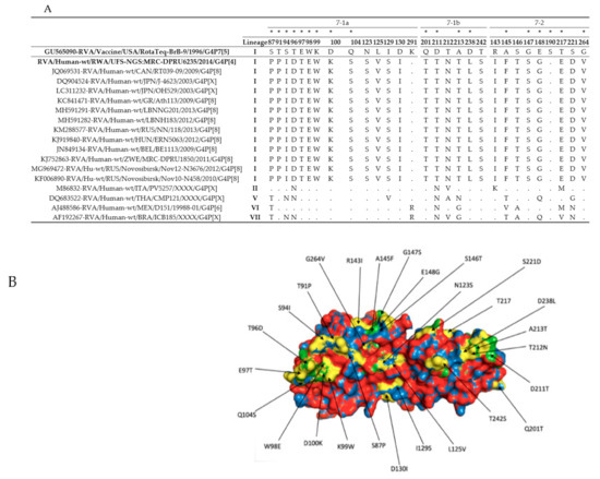 Whole-Genome Analyses Identifies Multiple Reassortant Rotavirus Strains ...
