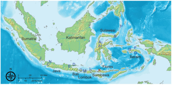 Viruses | Free Full-Text | Detection of Tioman Virus in Pteropus ...
