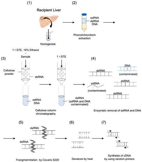 DsRNA Sequencing for RNA Virus Surveillance Using Human Clinical Samples