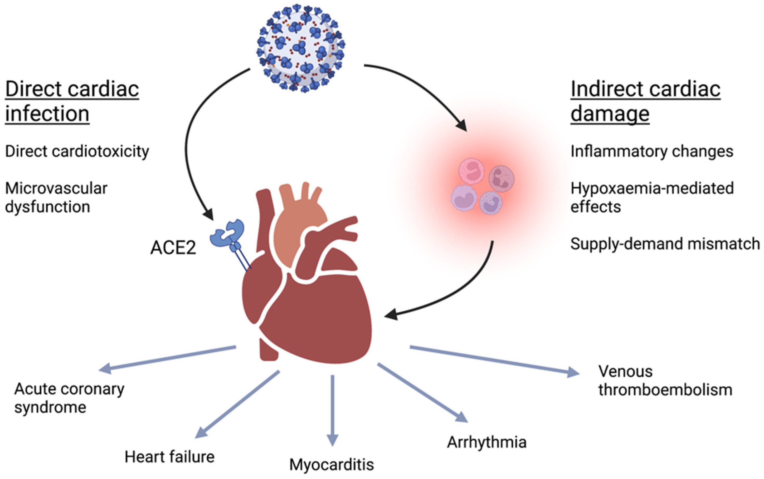 Cardiac Complications Of COVID 19 In Low Risk Patients Cardiac Complications Of COVID 19 In Low Risk Patients