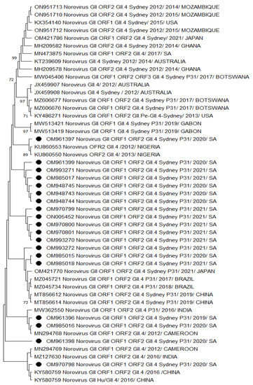 Prevalence of Human Norovirus GII.4 Sydney 2012 [P31] between 2019 and ...