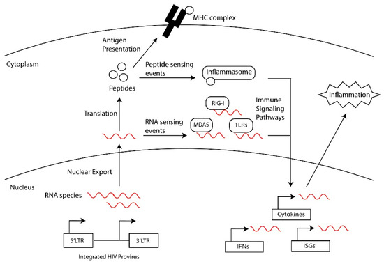 Viruses | An Open Access Journal from MDPI