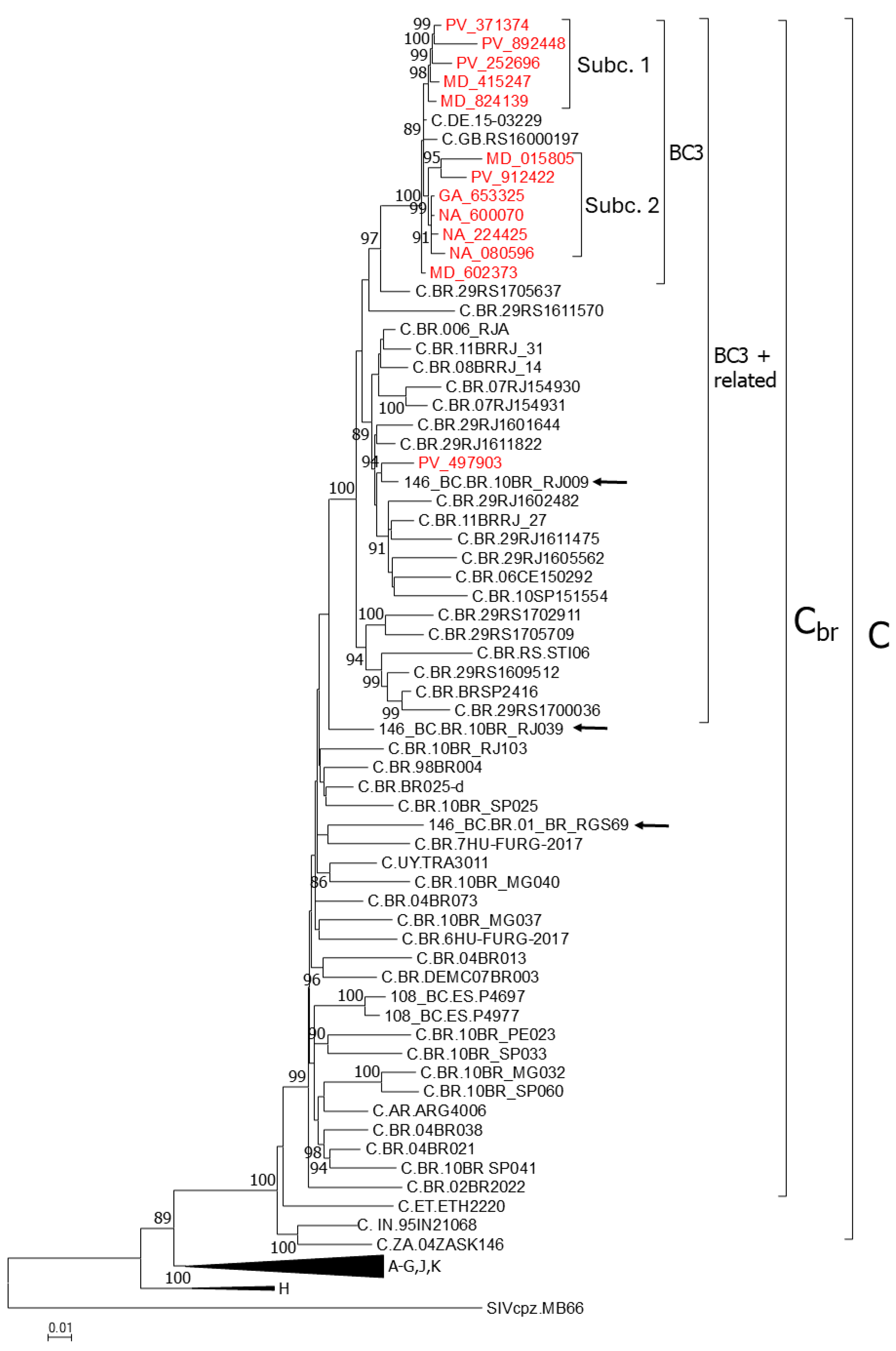 Viruses Previously Classified as CRF146_BC, a Circulating Recombinant ...