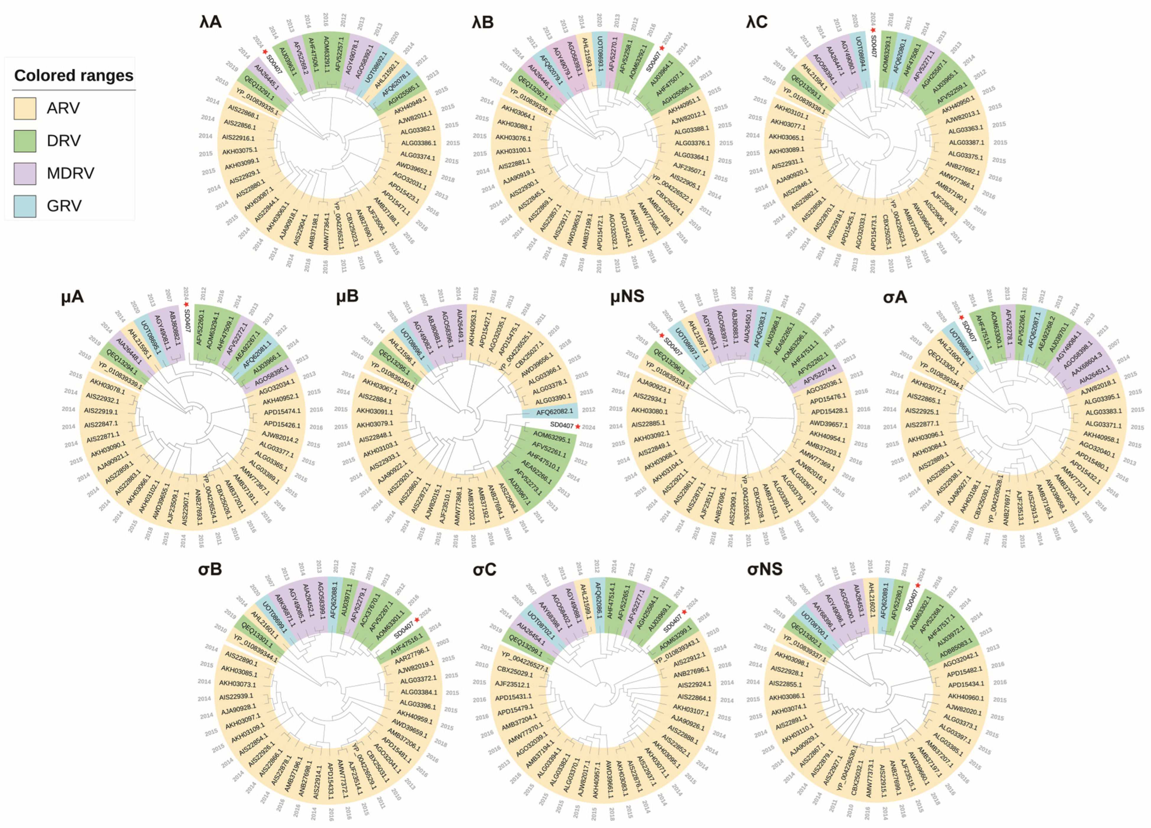 Characterization of a Goose-Origin Avian Orthoreovirus with Interferon ...